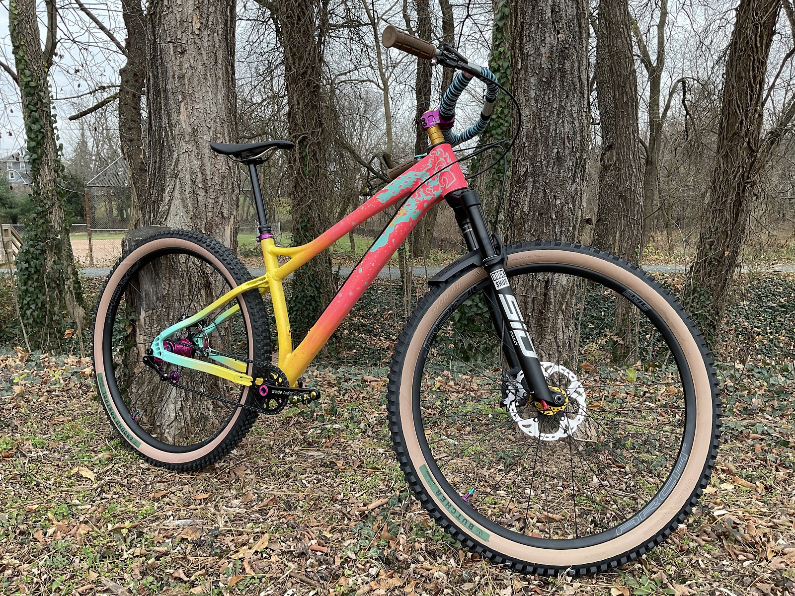 Banshee Paradox Dirt Rooster Special - DirtRoosterBicycles's Bike Check ...