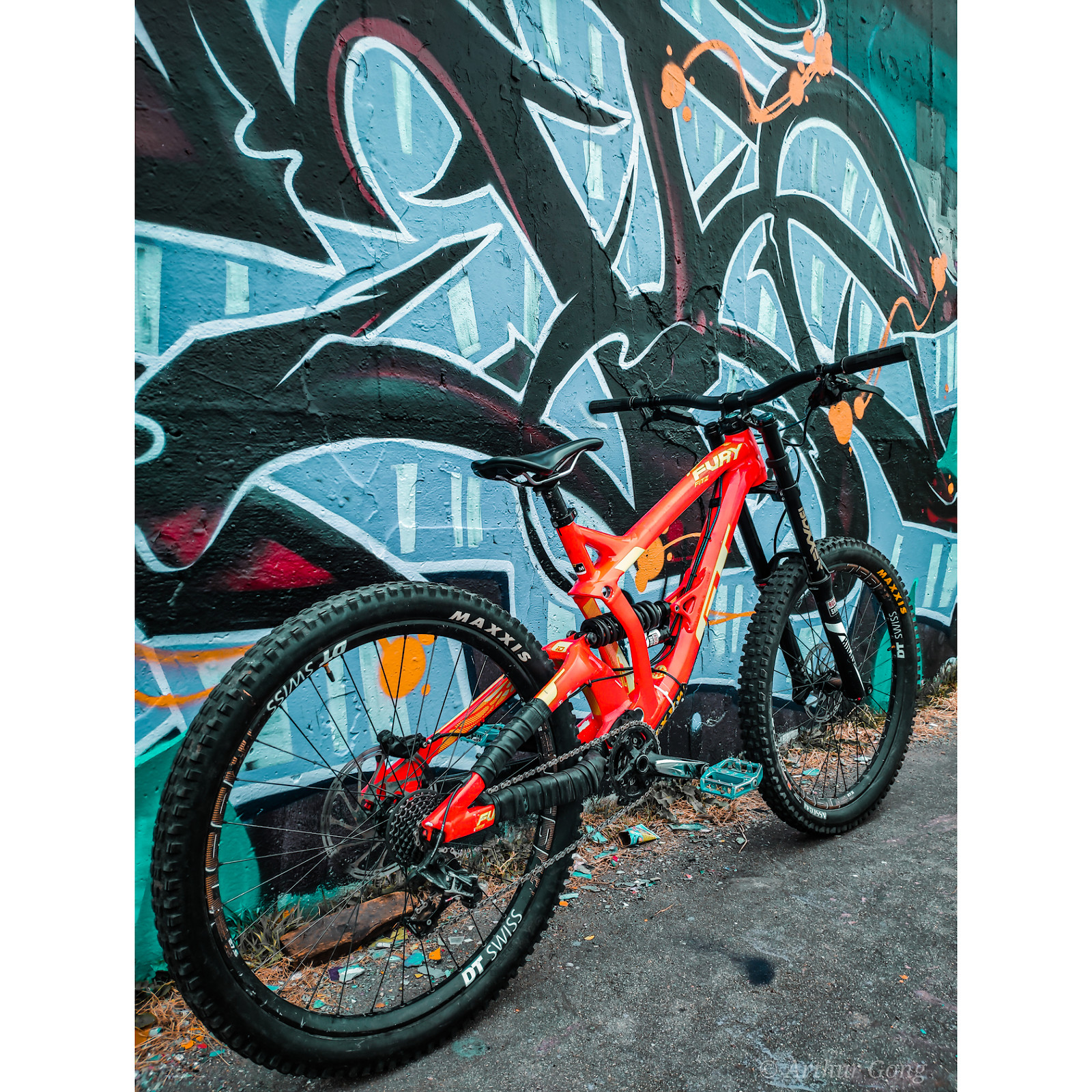 GT Fury Fitz 2017 - Arthur__Gong's Bike Check - Vital MTB