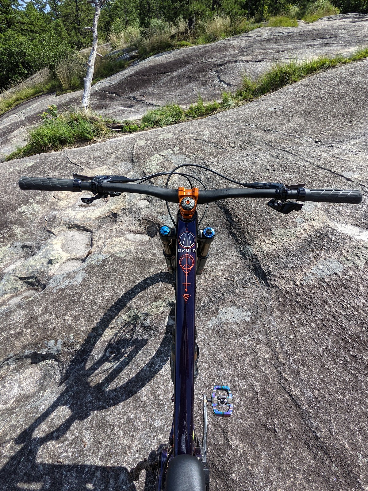 Cosmic Druid - PisgahGnar's Bike Check - Vital MTB