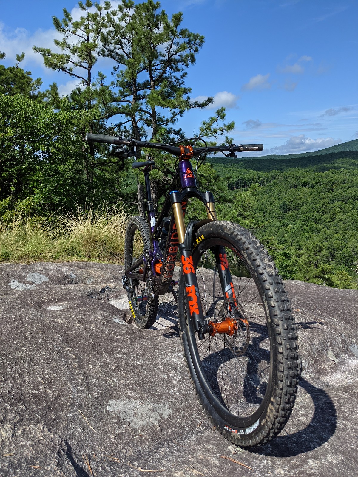 Cosmic Druid - PisgahGnar's Bike Check - Vital MTB