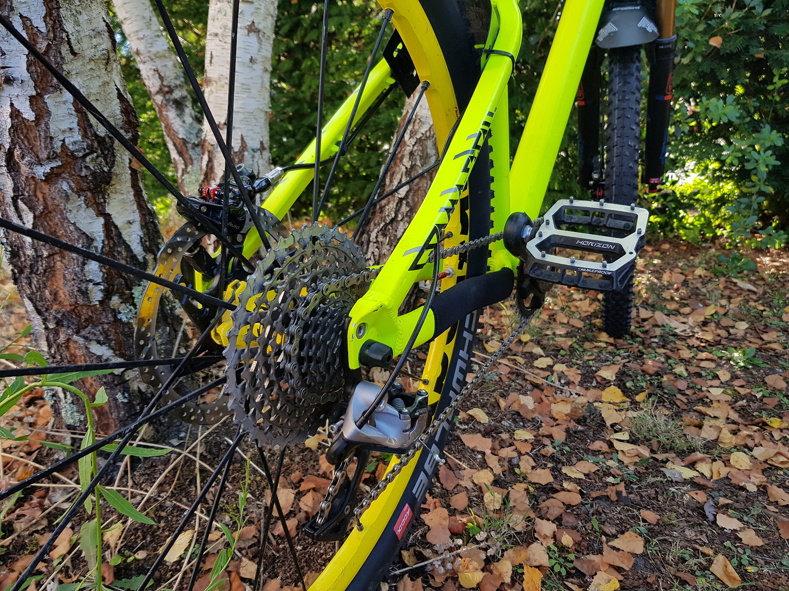 Commencal Meta HT - custom build - Theo's Bike Check - Vital MTB