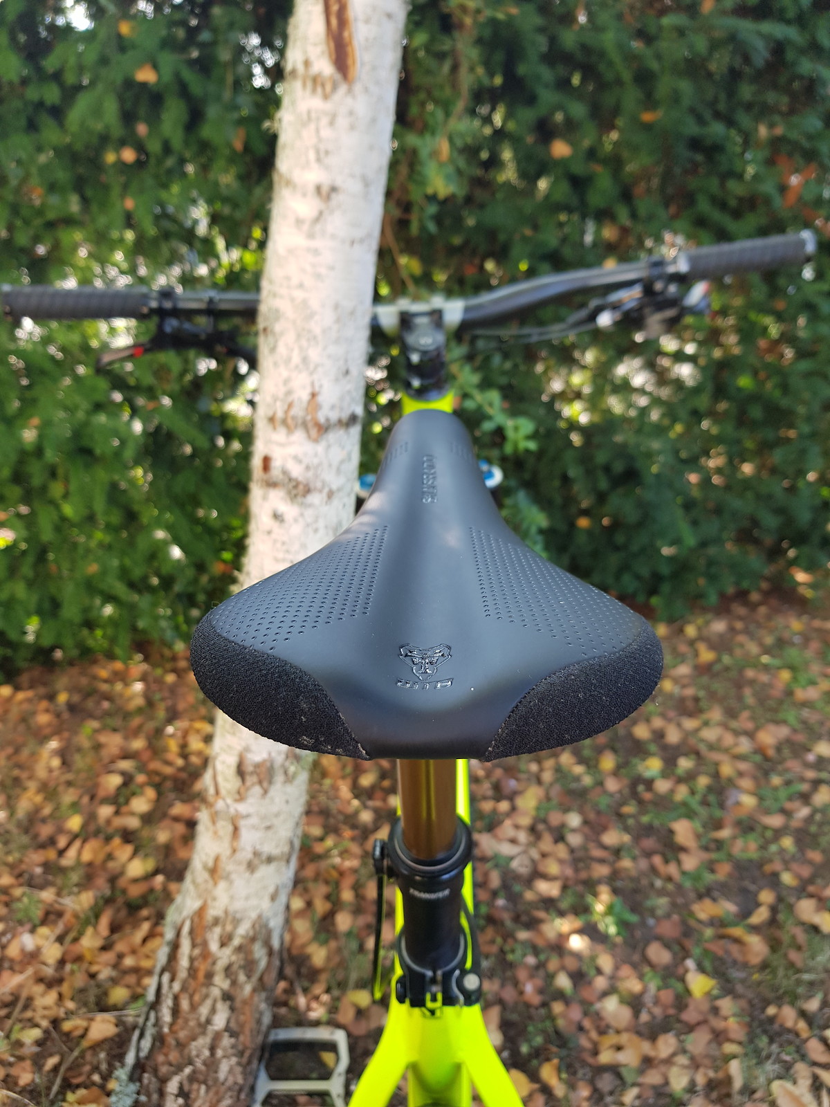 Commencal Meta HT - custom build - Theo's Bike Check - Vital MTB