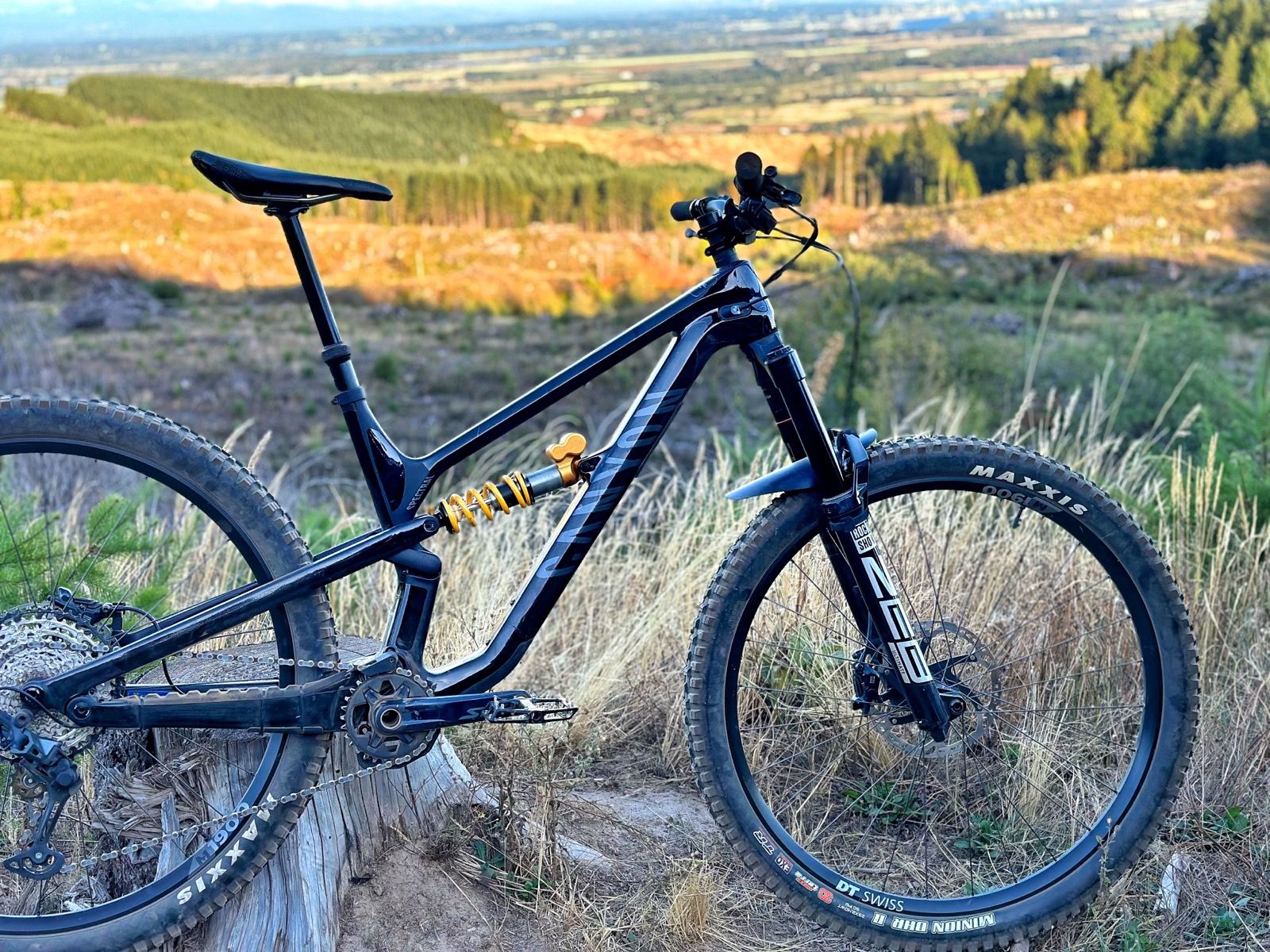 Canyon Spectral 29 CF Custom - m3hl's Bike Check - Vital MTB
