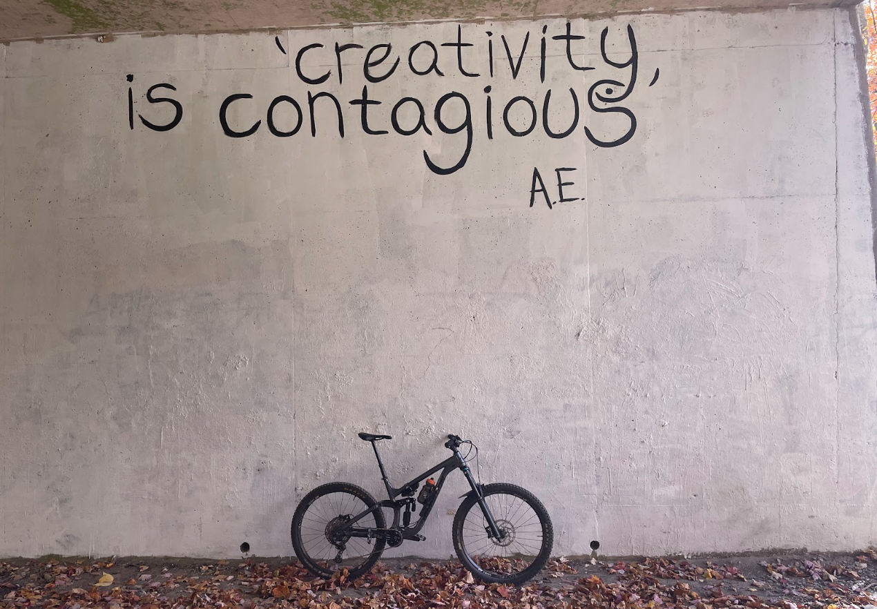 Sentient Being - Kizzard_Ling's Bike Check - Vital MTB