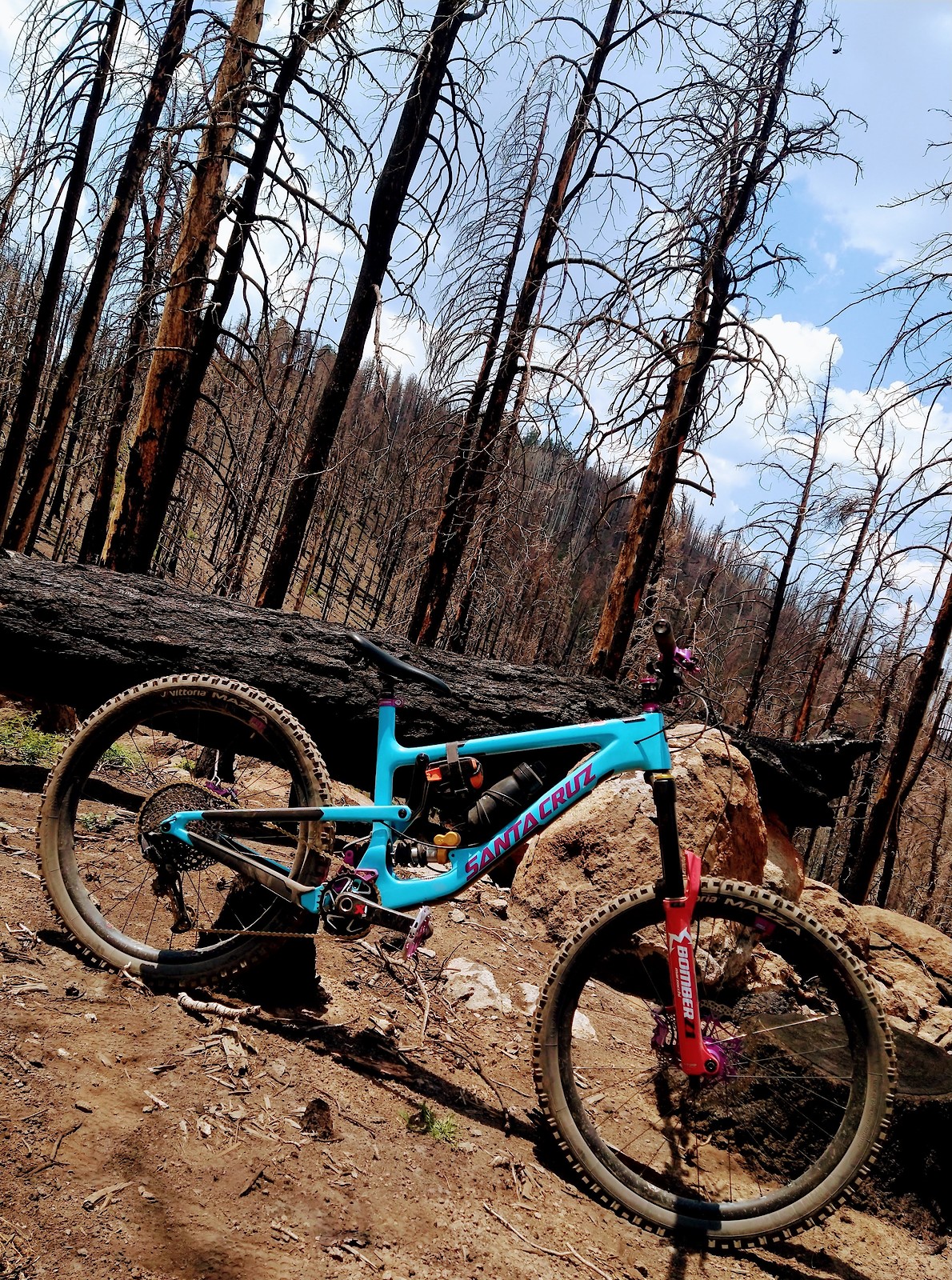 Santa Cruz V8 - queefnuggets's Bike Check - Vital MTB