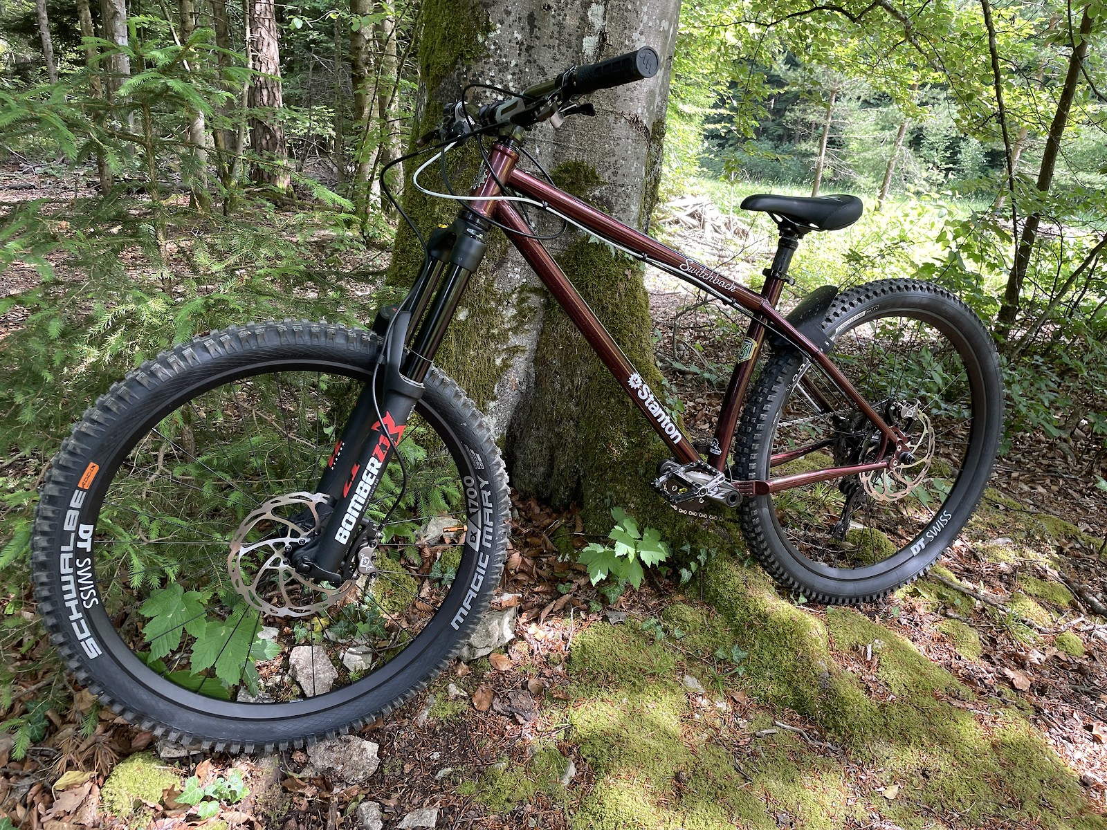 Stanton Switchback - j3r3h's Bike Check - Vital MTB