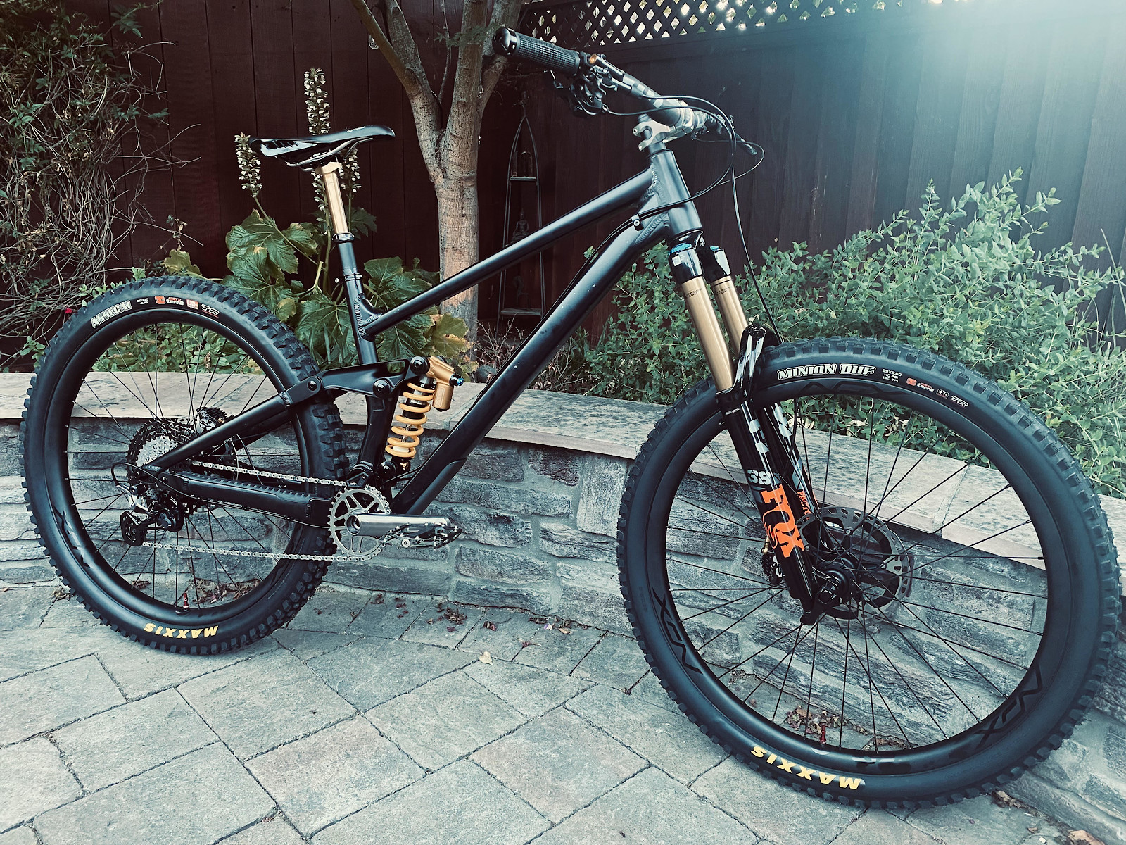Raaw Madonna V2.2 - sjdiesel's Bike Check - Vital MTB