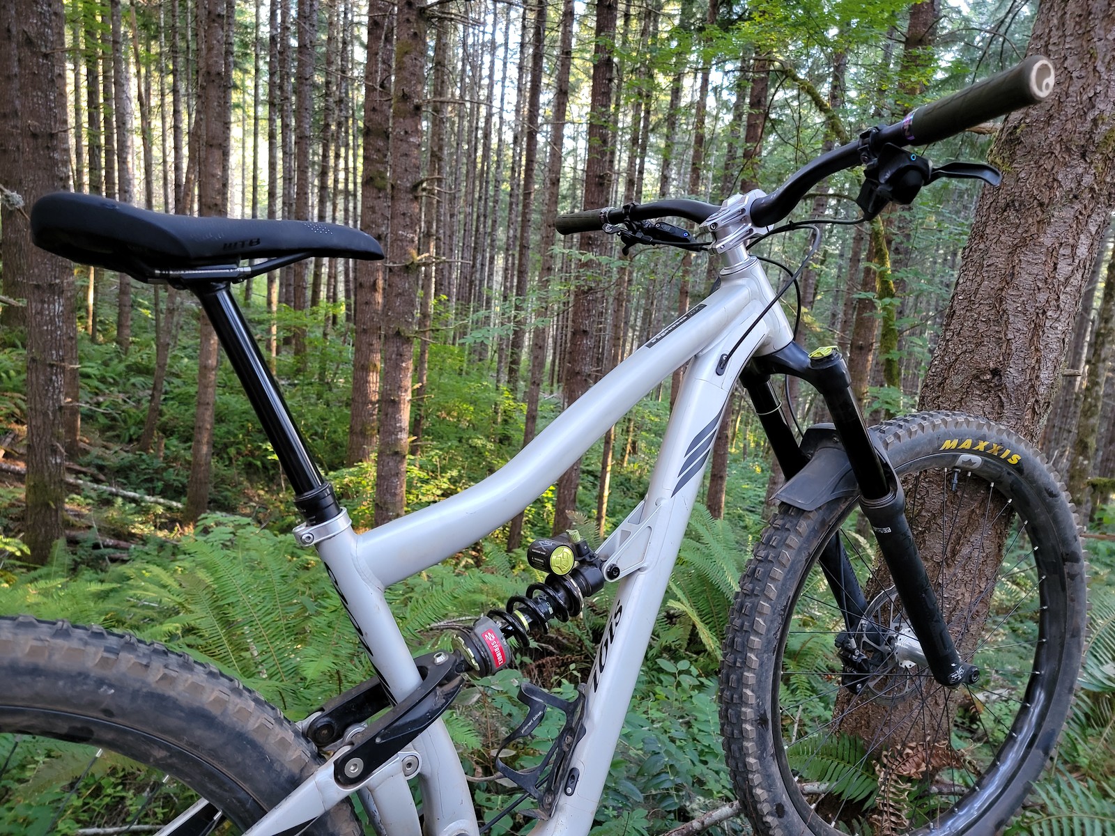 2020 Ibis Ripmo AF Custom - Kayvaughn's Bike Check - Vital MTB