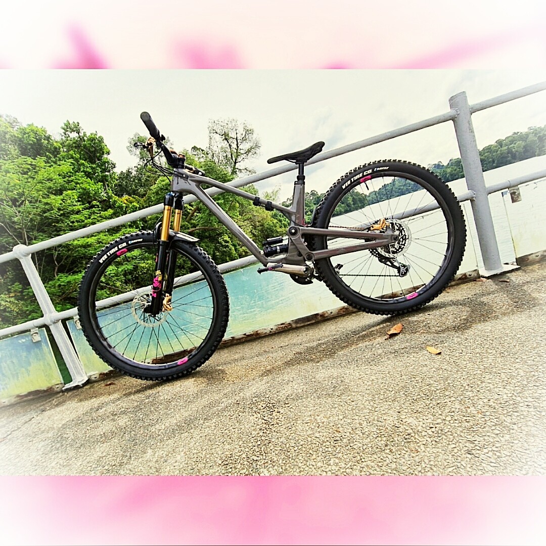 Druid - BlackPink Witchcraft - Veelis EL's Bike Check - Vital MTB