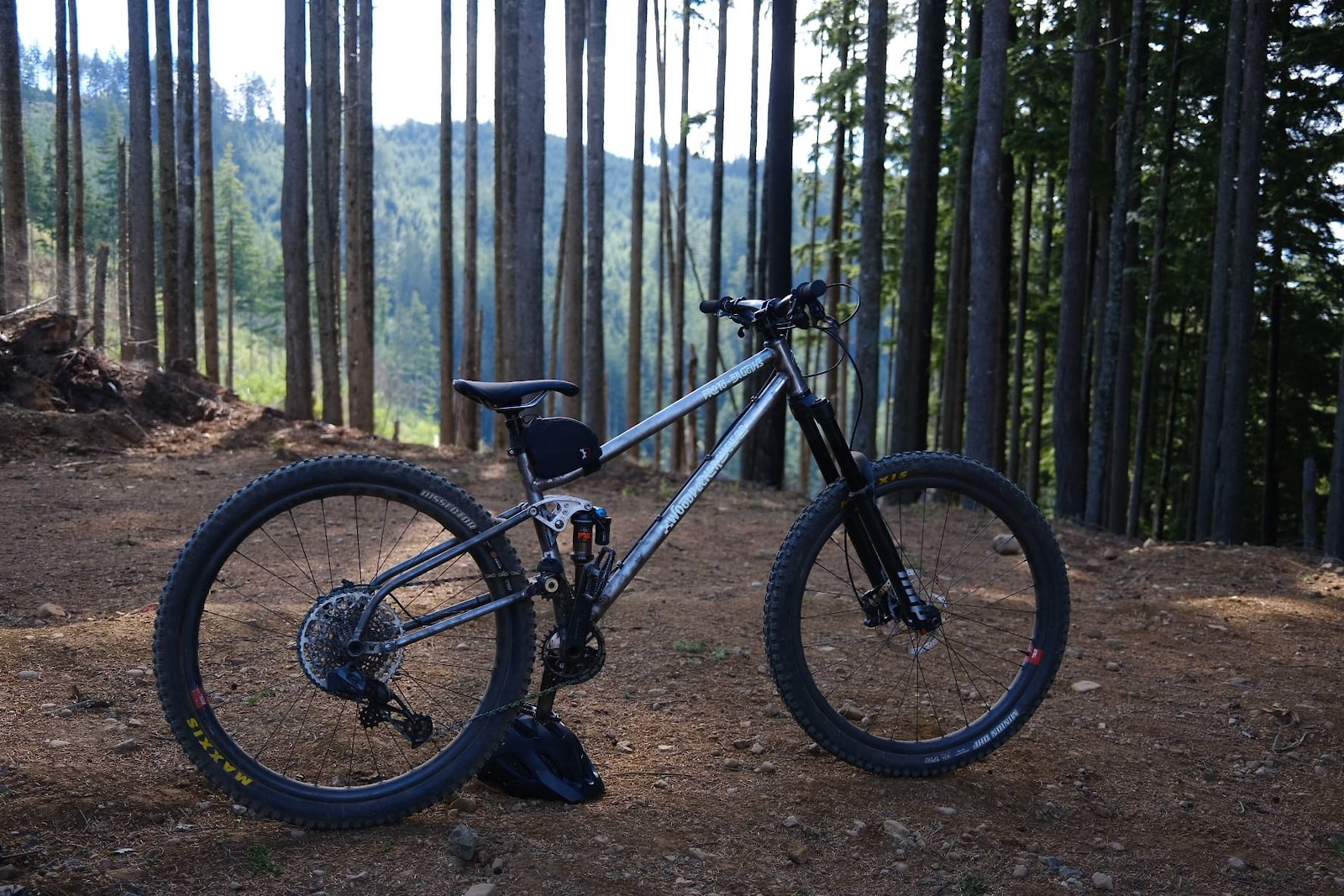 Proto Baggins: A steel high pivot - dbeens's Bike Check - Vital MTB