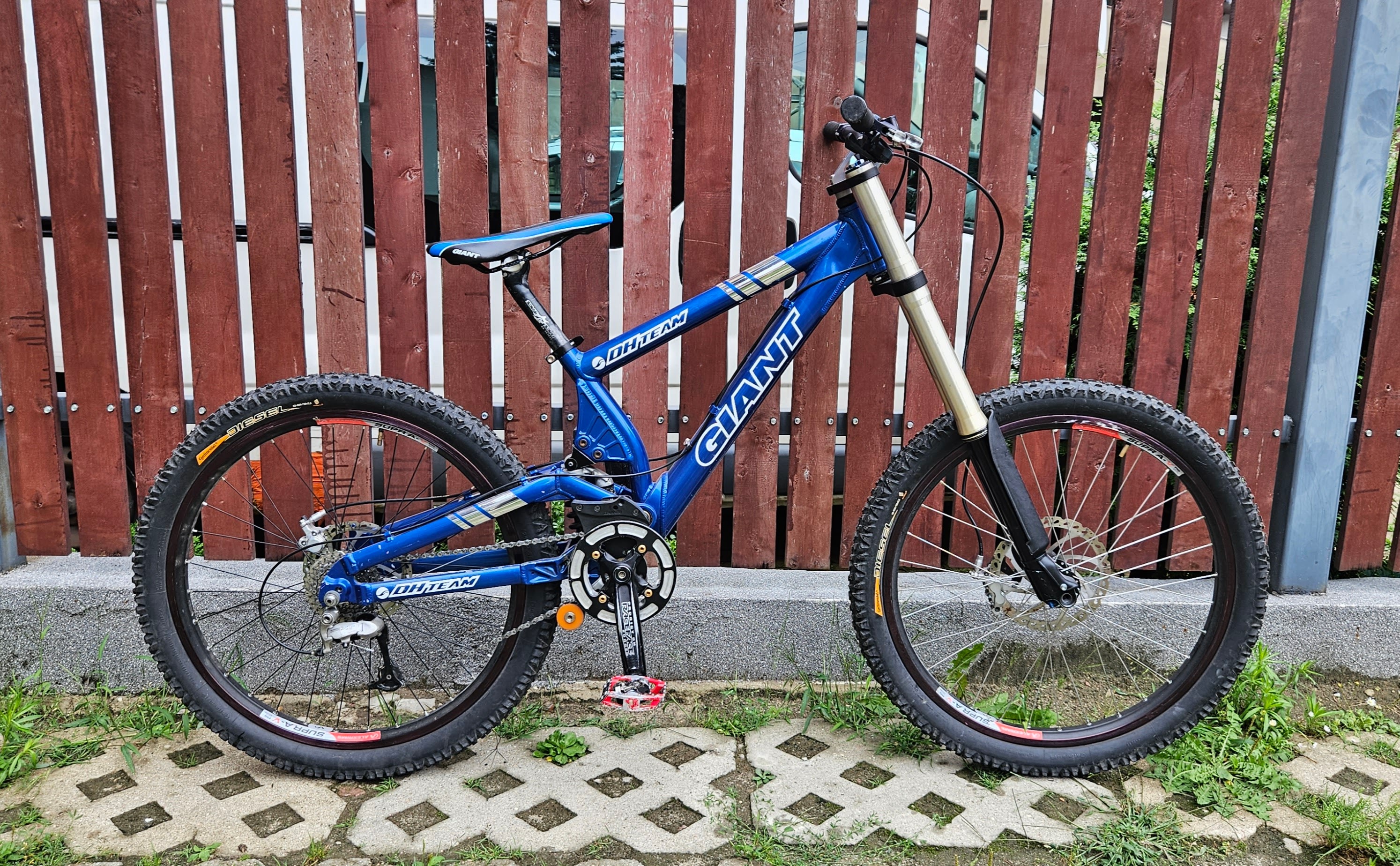 Giant DH Team - SelfmadeFR's Bike Check - Vital MTB