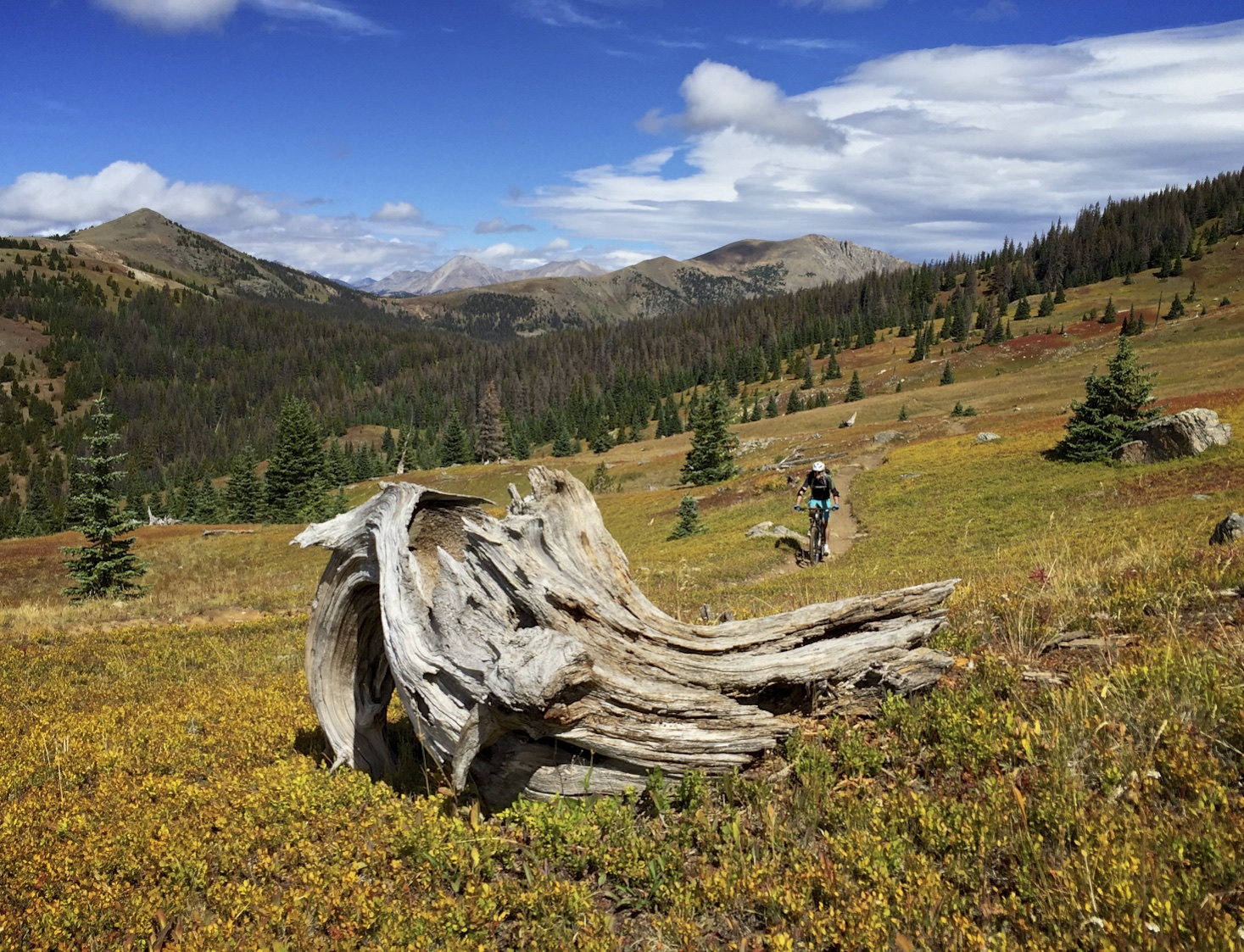 Monarch Crest - Erik_Proano - Mountain Biking Pictures - Vital MTB