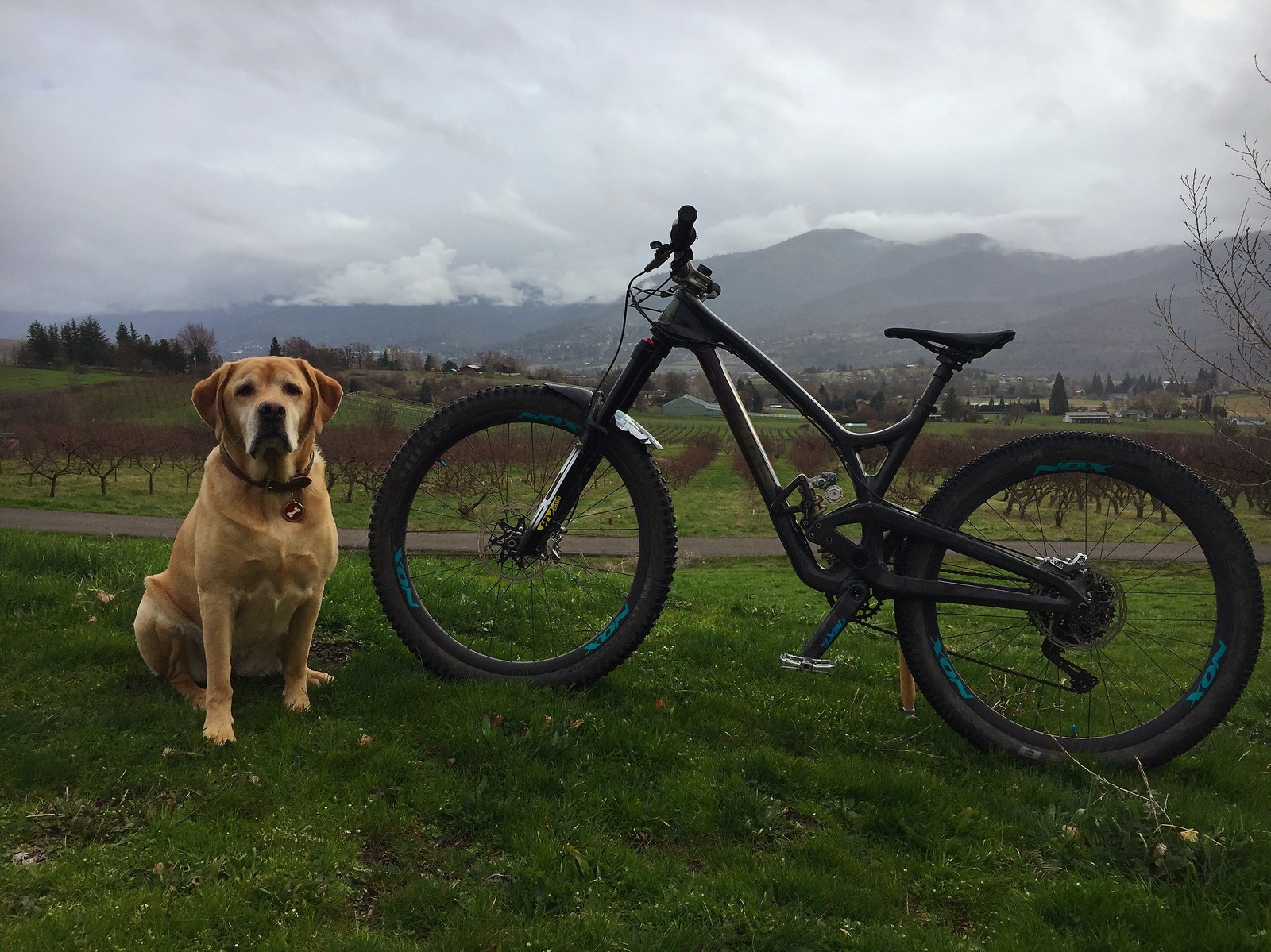 Hyphy bike - chup29's Bike Check - Vital MTB