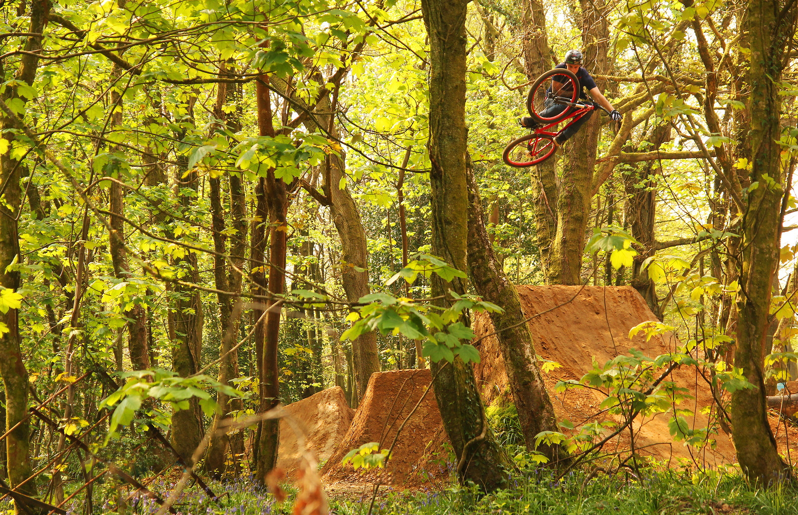 Adam WIlliams - Moos - SamDavies - Mountain Biking Pictures - Vital MTB