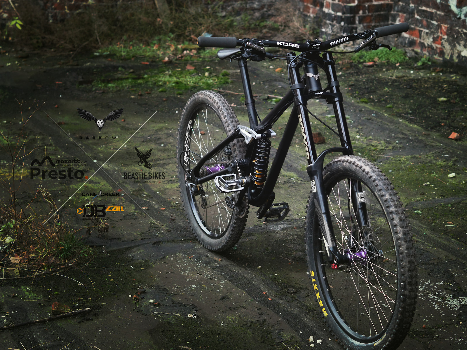 EVH Steel Downhill Mountain Bike Frame Tora Cycles | atelier-yuwa.ciao.jp