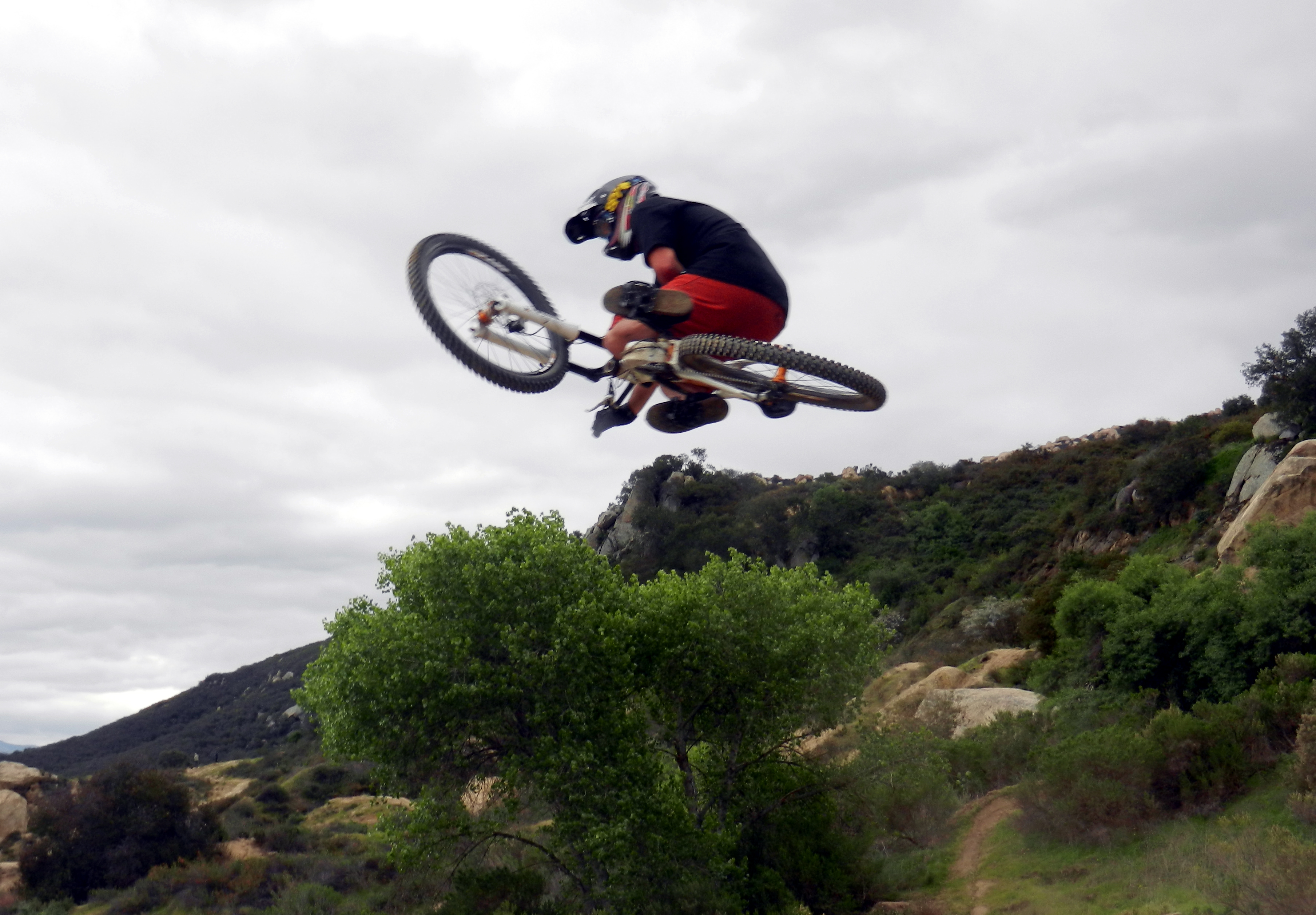 Self Explanatory - MattyO - Mountain Biking Pictures - Vital MTB