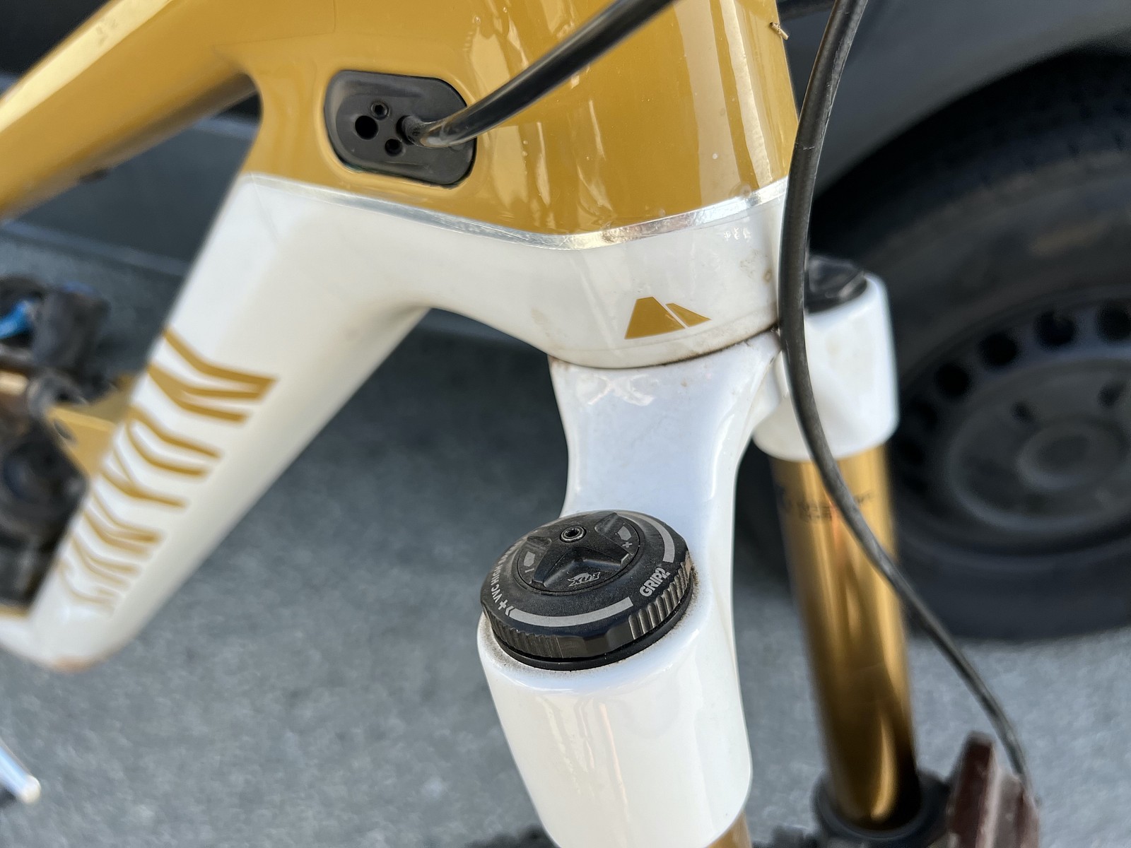 Luca Cometti's Custom Canyon Spectral - Jason_Schroeder - Mountain ...