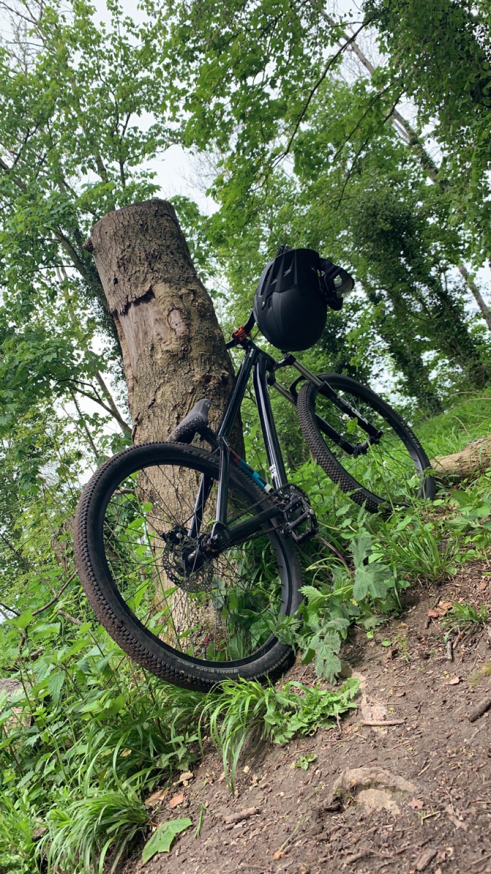 Octane One Melt - jayden675's Bike Check - Vital MTB