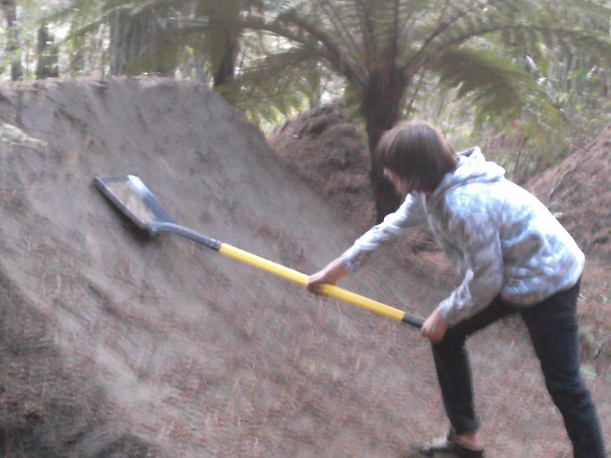 scootering, sams jump, punga trails 003 - 'Connor_Halligan' - Mountain ...