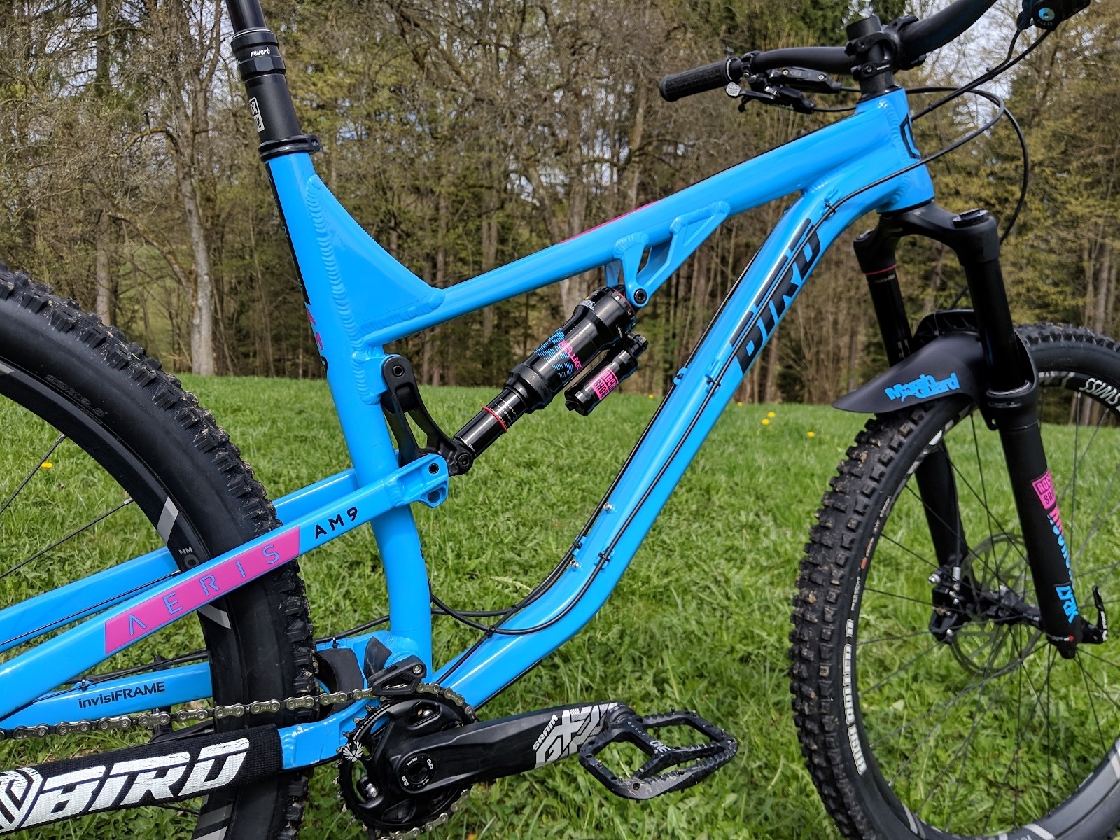 Bird Aeris AM9 - Primoz's Bike Check - Vital MTB