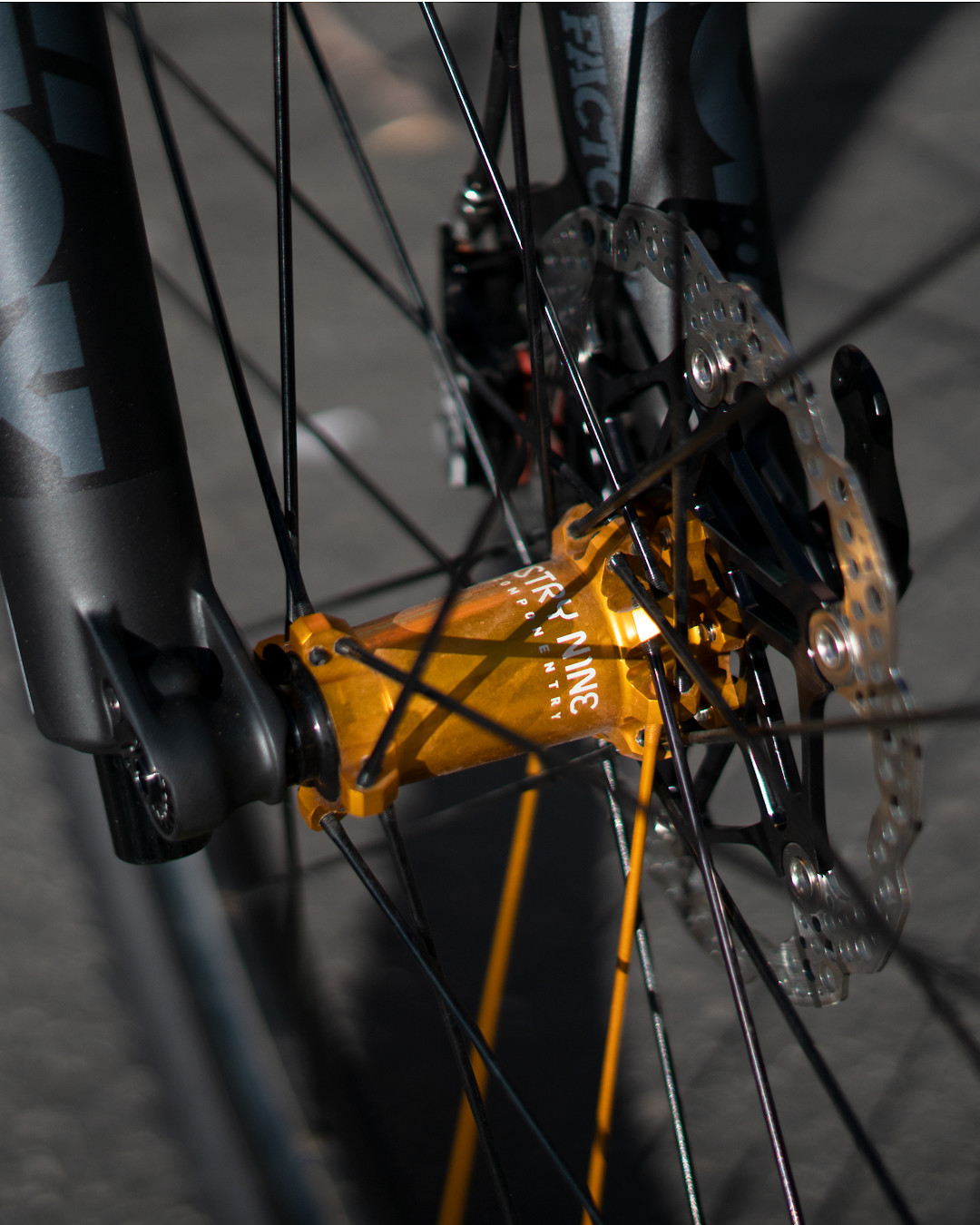 AXS of Evil Offering - Axle-Foley's Bike Check - Vital MTB