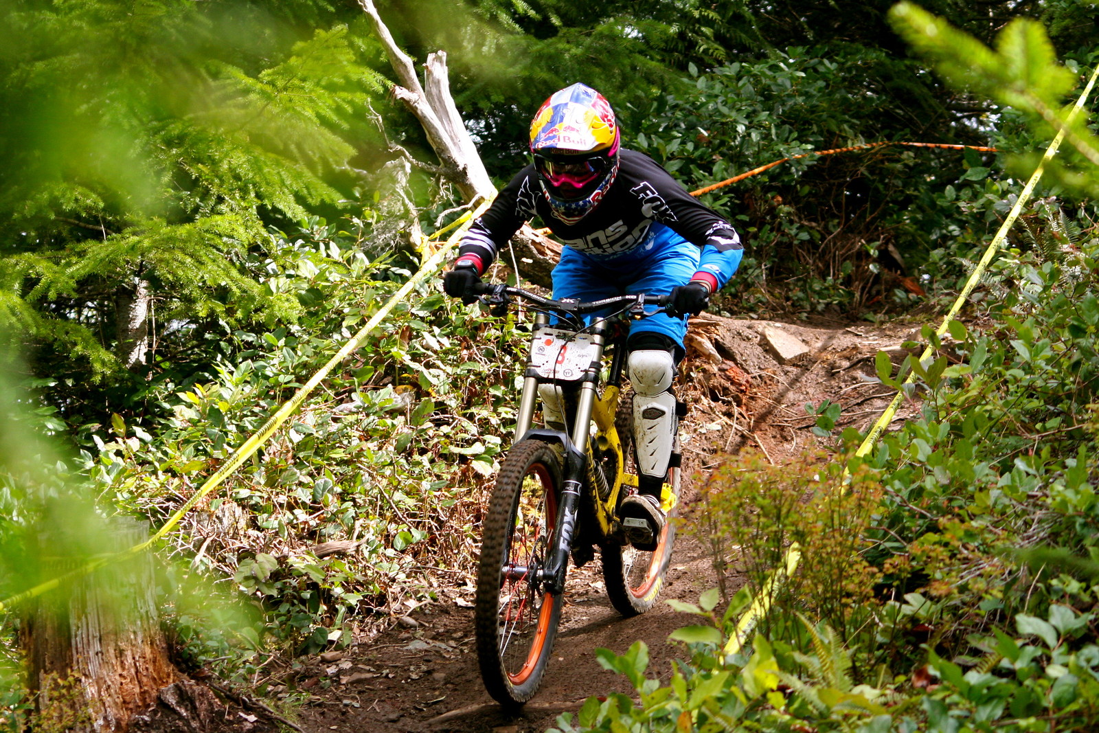 Jill Kitner - Turnerdhr23 - Mountain Biking Pictures - Vital MTB