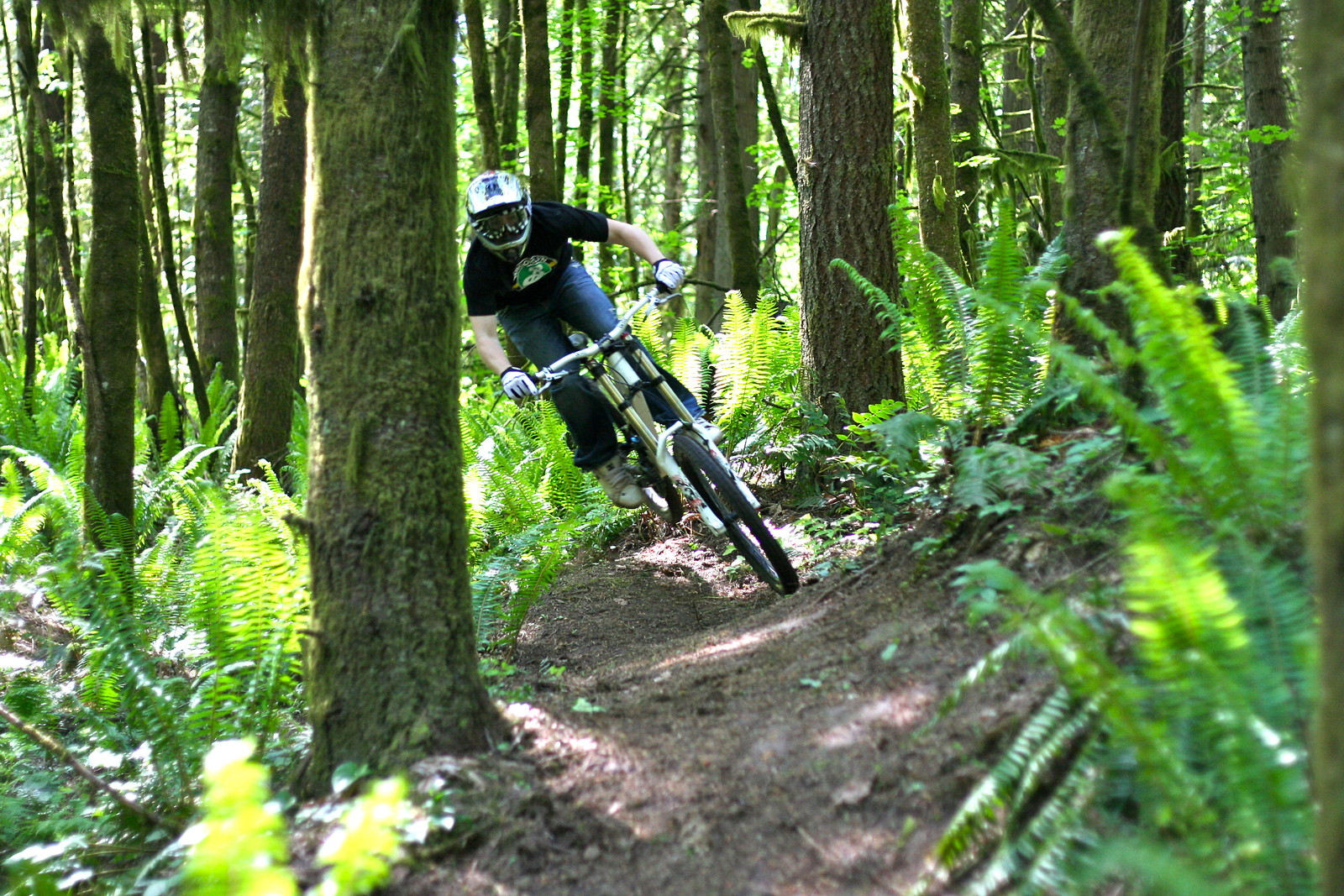 Tree Duck - Turnerdhr23 - Mountain Biking Pictures - Vital MTB