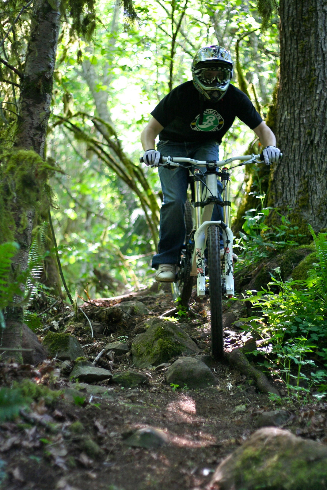 Roots and Such - Turnerdhr23 - Mountain Biking Pictures - Vital MTB