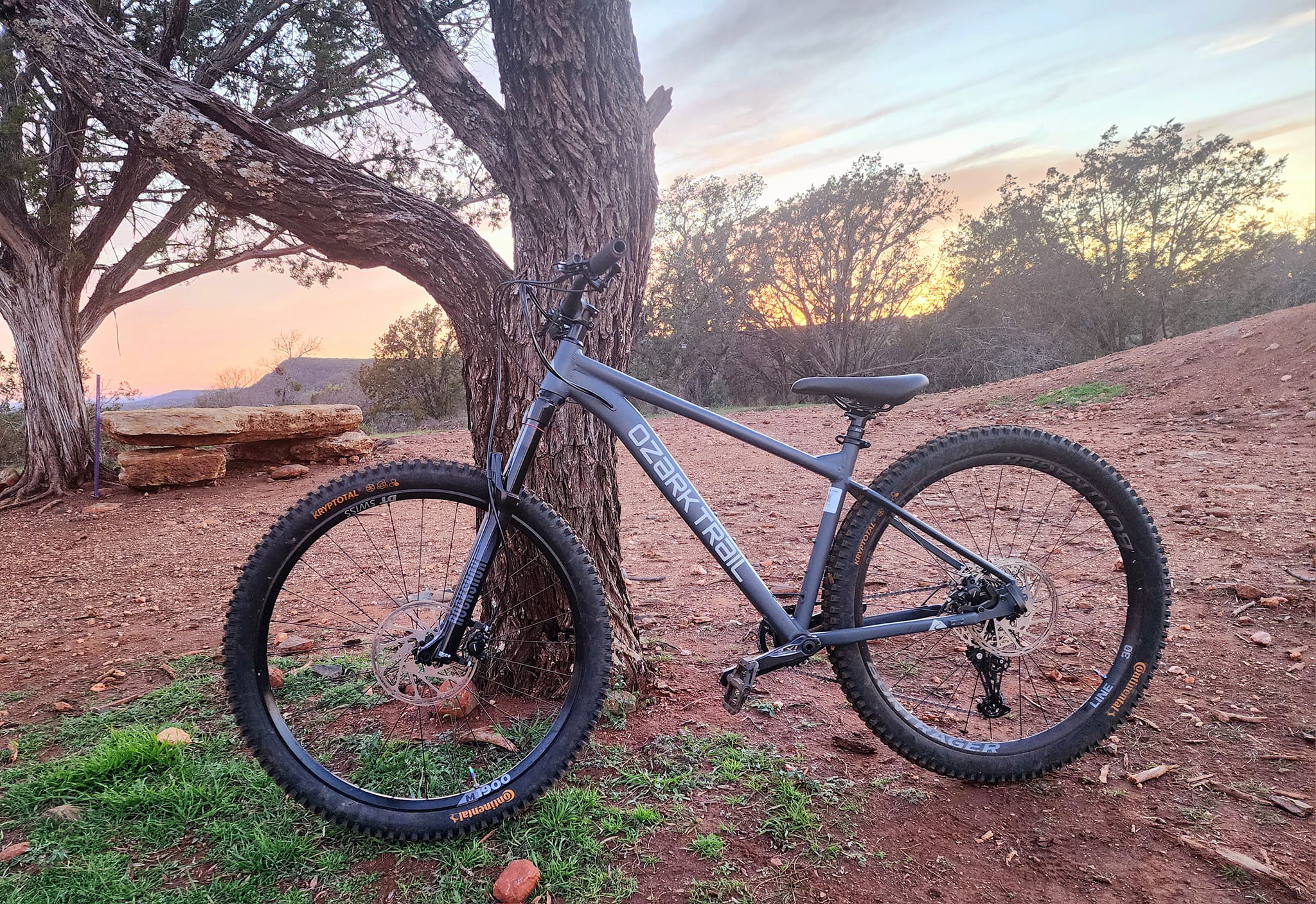 Ozark Trail Ridge 29 - ericmiller's Bike Check - Vital MTB