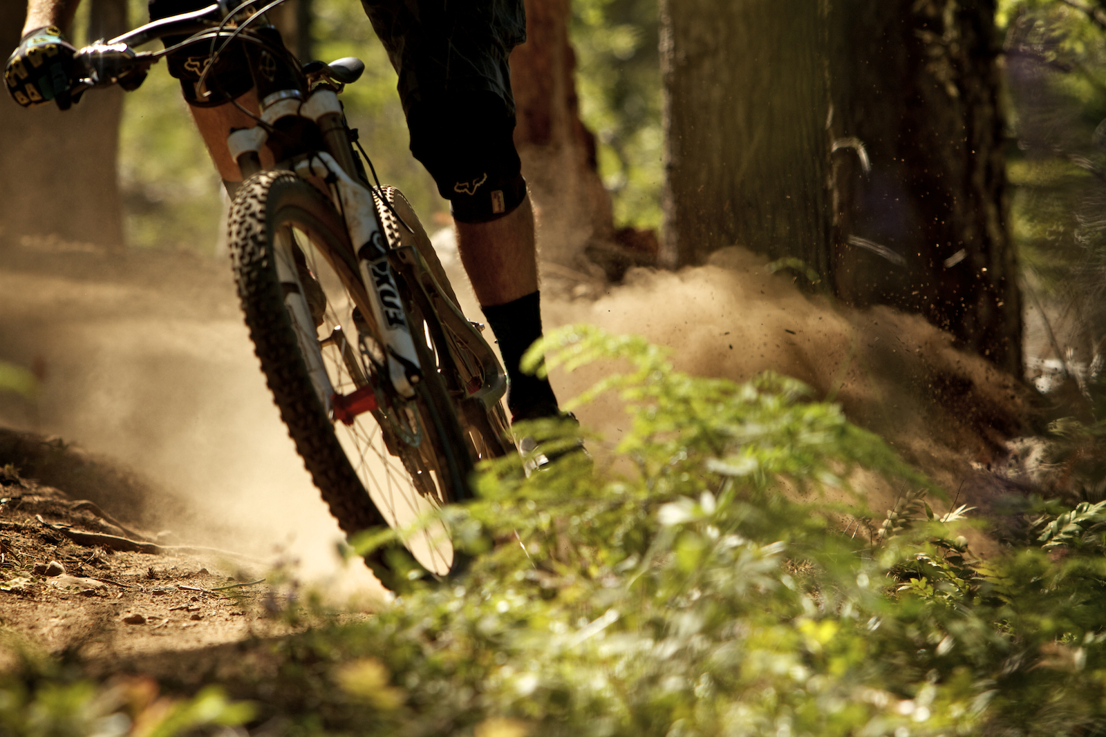 Roost and Dust at the Hood River Enduro - corytepper.com - Mountain ...