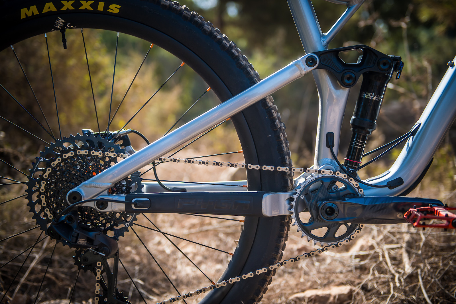 2020 Pyga Hyrax - Sababike's Bike Check - Vital MTB