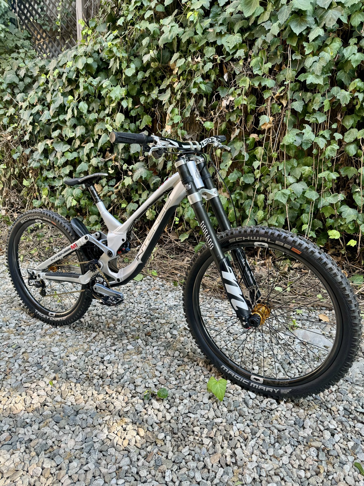 Intense M1 - Vital Bike of the Day July 2024 - Mountain Biking Pictures ...