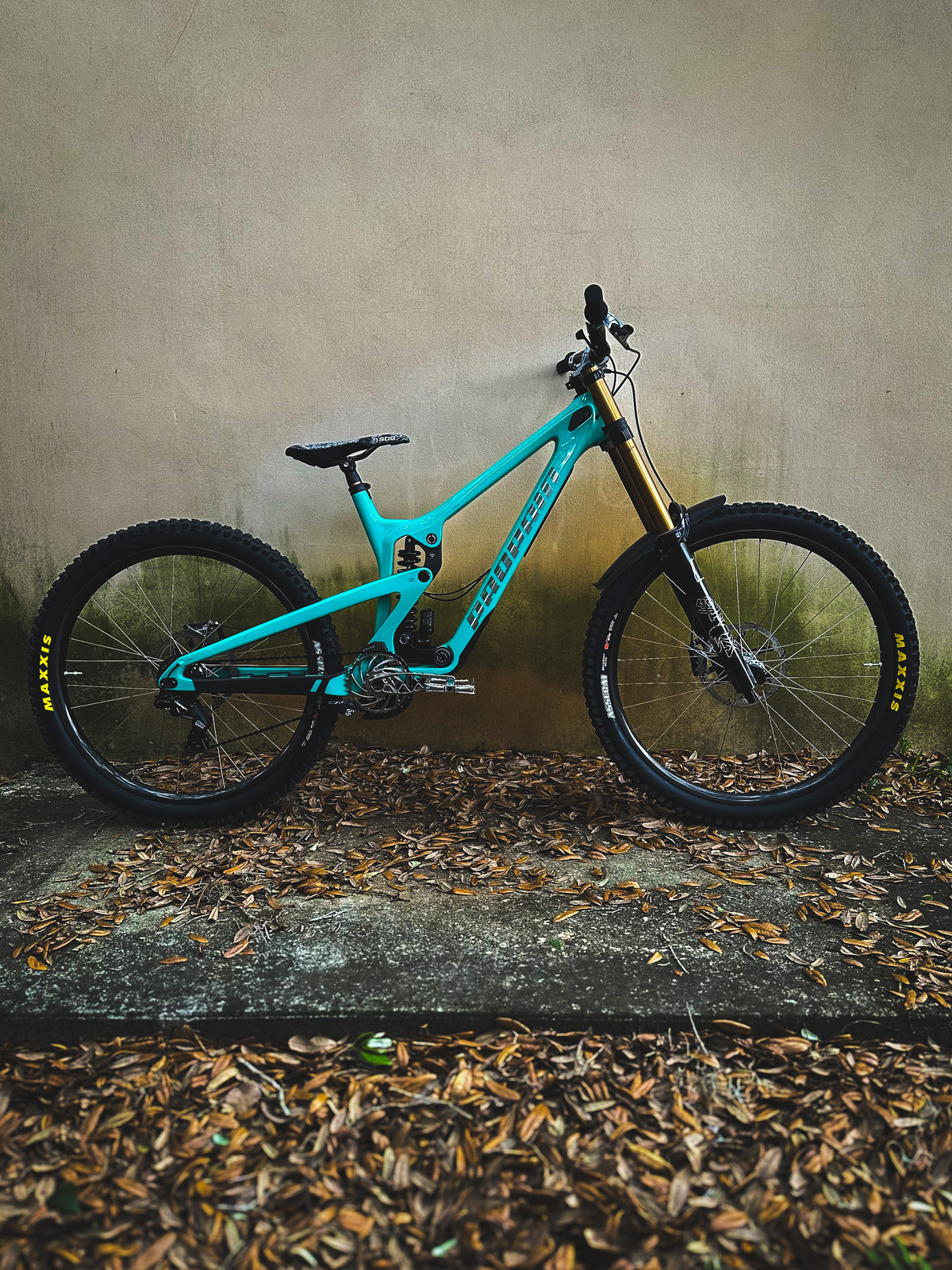 Propain Rage 3 CF - Vital Bike of the Day September 2024 - Mountain ...
