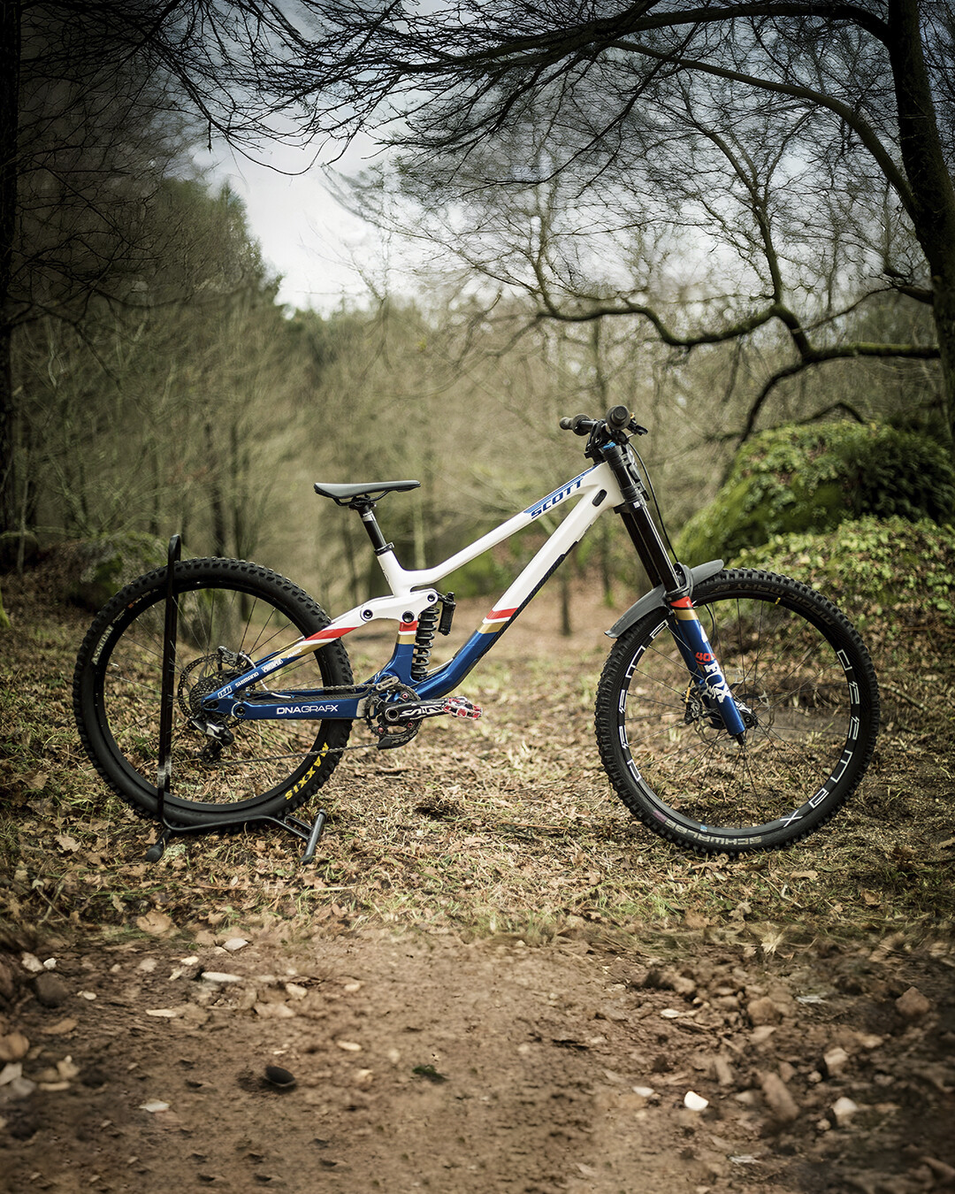 Scott Gambler Tuned 900 - Vital Bike of the Day March 2025 - Mountain ...