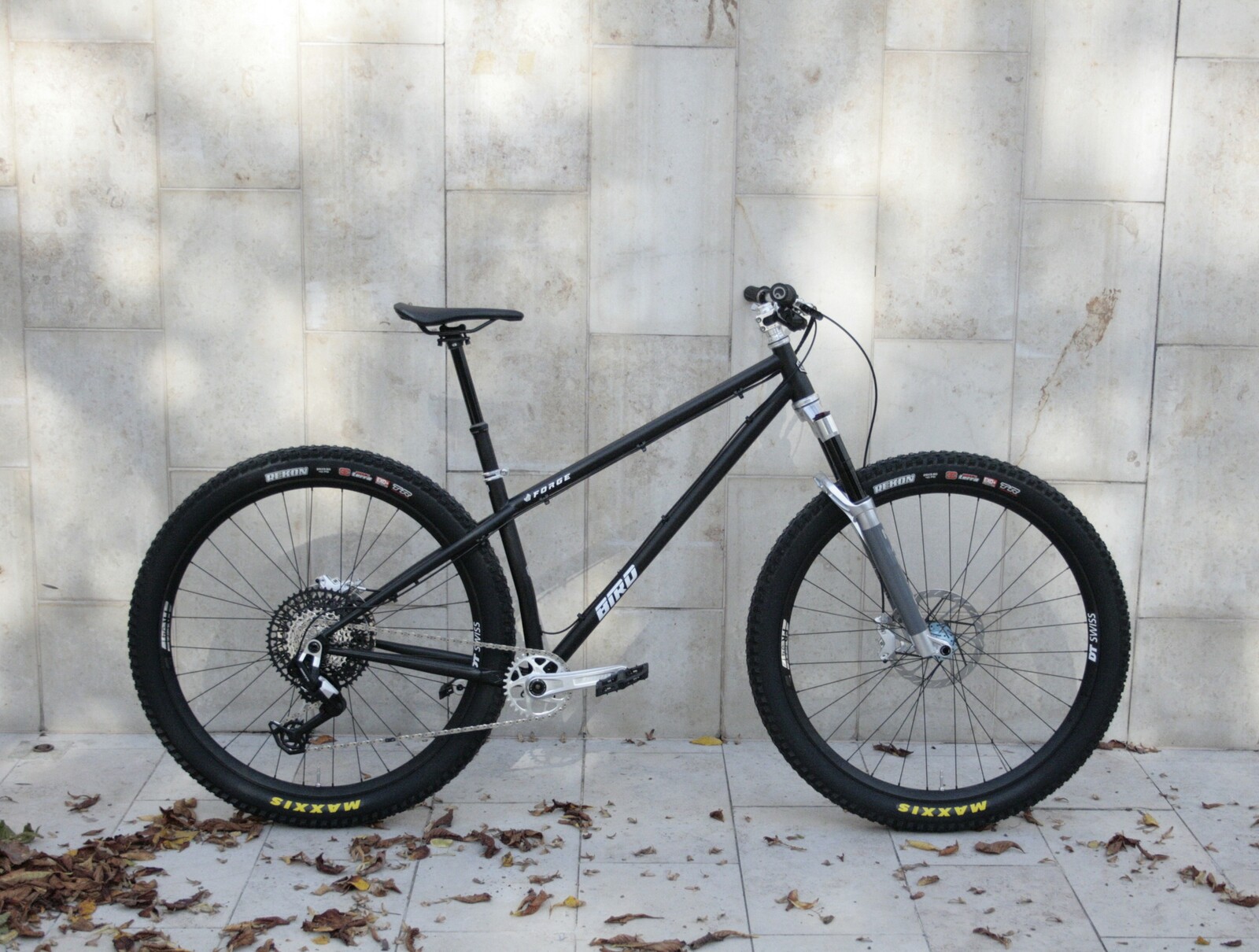 Bird Forge - Vital Bike of the Day October 2025 - Mountain Biking ...