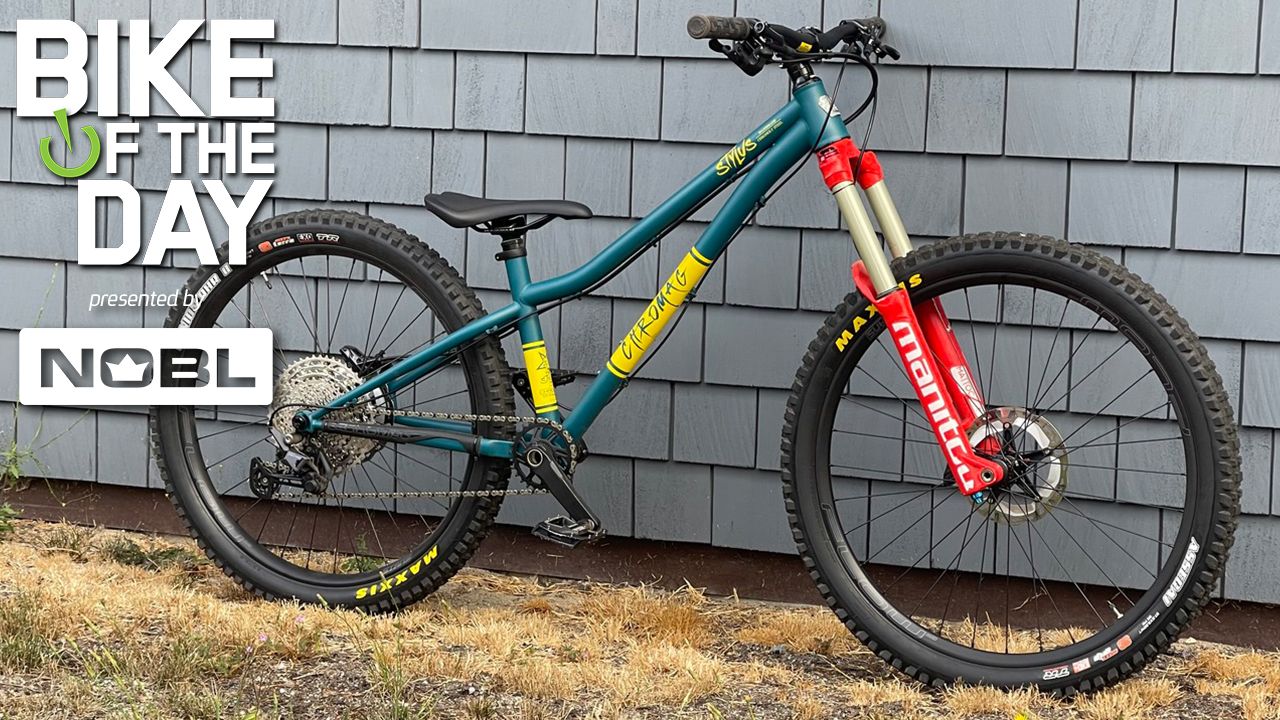 The Mini Mullet - HaamStacks's Bike Check - Vital MTB