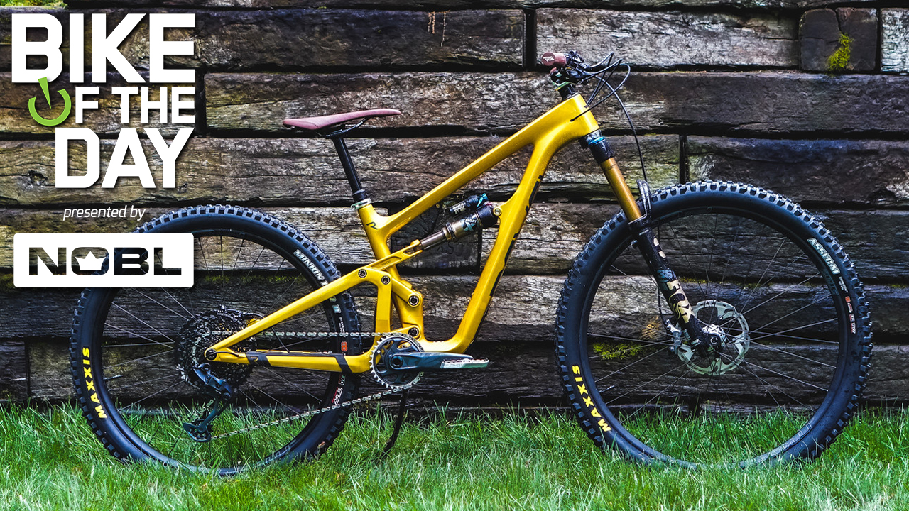Custom Ponyboy Revel Rascal aka 'Goldilocks' - gold_007's Bike Check ...