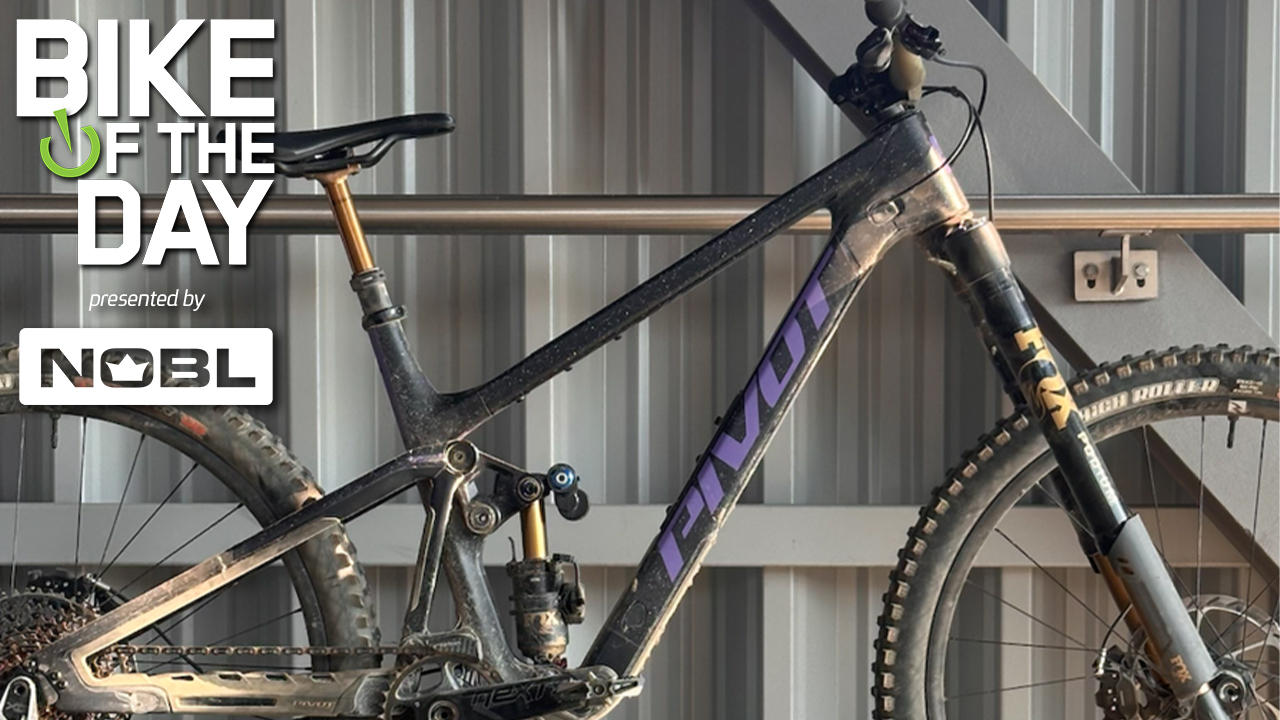 Pivot Firebird V5 Purple Galaxy - jc.ladriere's Bike Check - Vital MTB