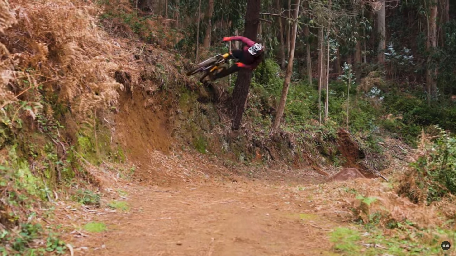 Brad Simms - Good Times In Madeira - iceman2058 - Mountain Biking ...