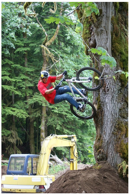 AT_tree_bonk - NW School of Freeride - Mountain Biking Pictures - Vital MTB