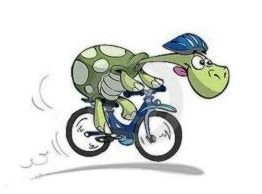 turtle photo - bikerscafe - Mountain Biking Pictures - Vital MTB