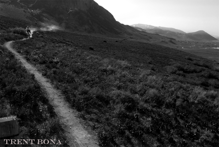 singletrack - trentbona.com - Mountain Biking Pictures - Vital MTB