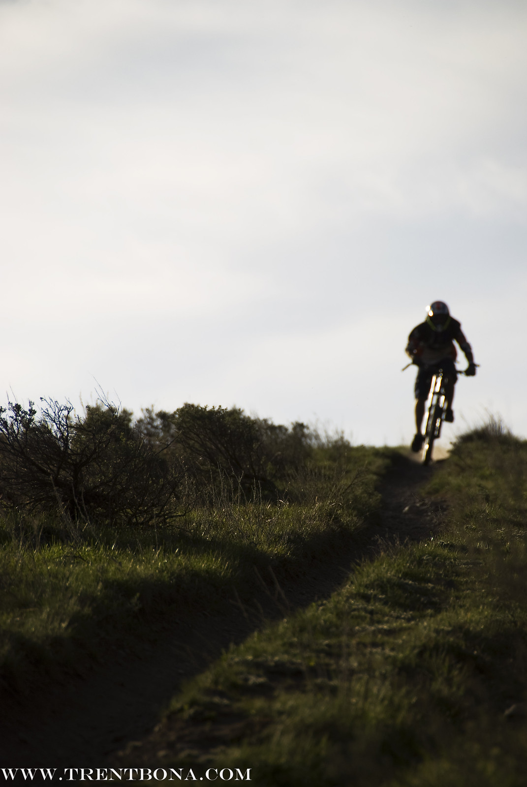 TJ single track FB - trentbona.com - Mountain Biking Pictures - Vital MTB