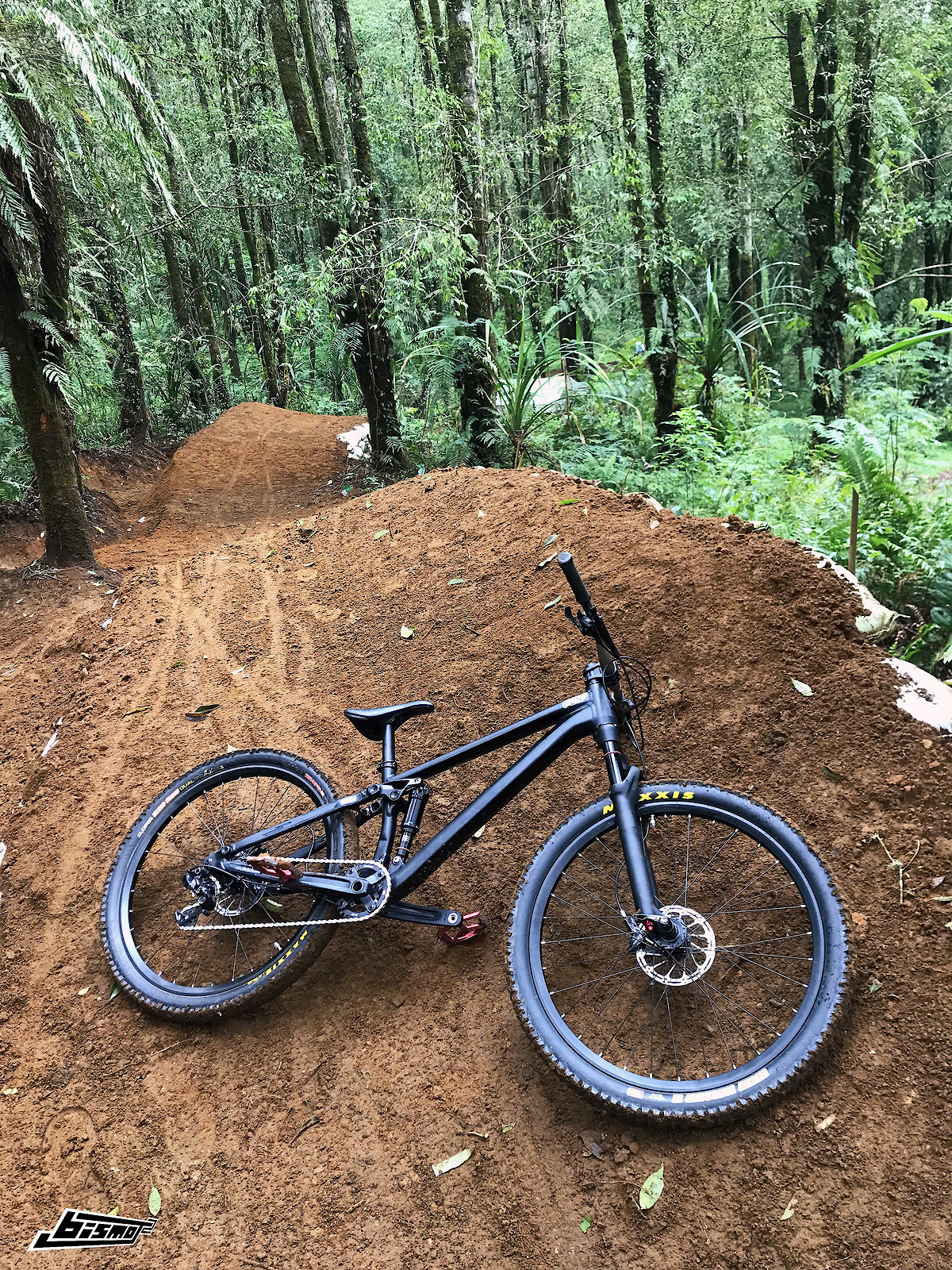 Polygon Trid - 2017 Vital Bike of the Day Collection - Mountain Biking ...