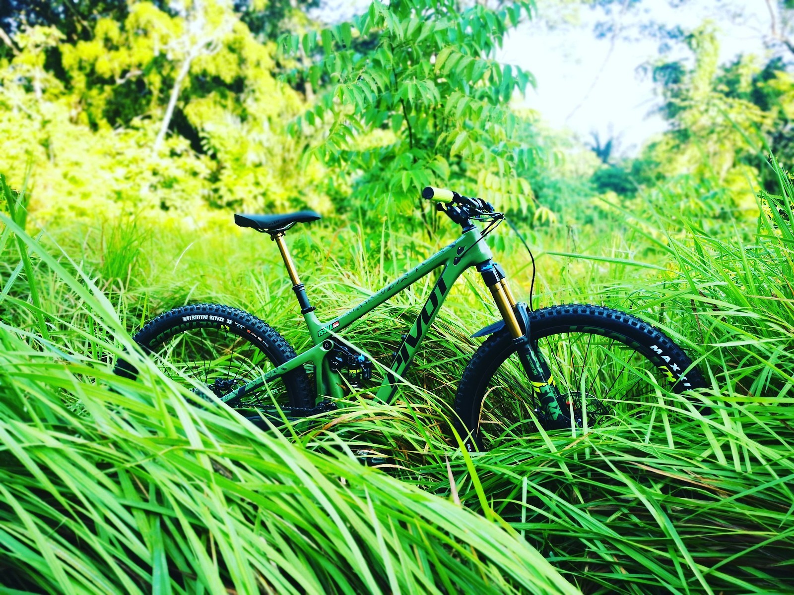 Pivot Switchblade - Vital Bike of the Day April 2020 - Mountain Biking ...