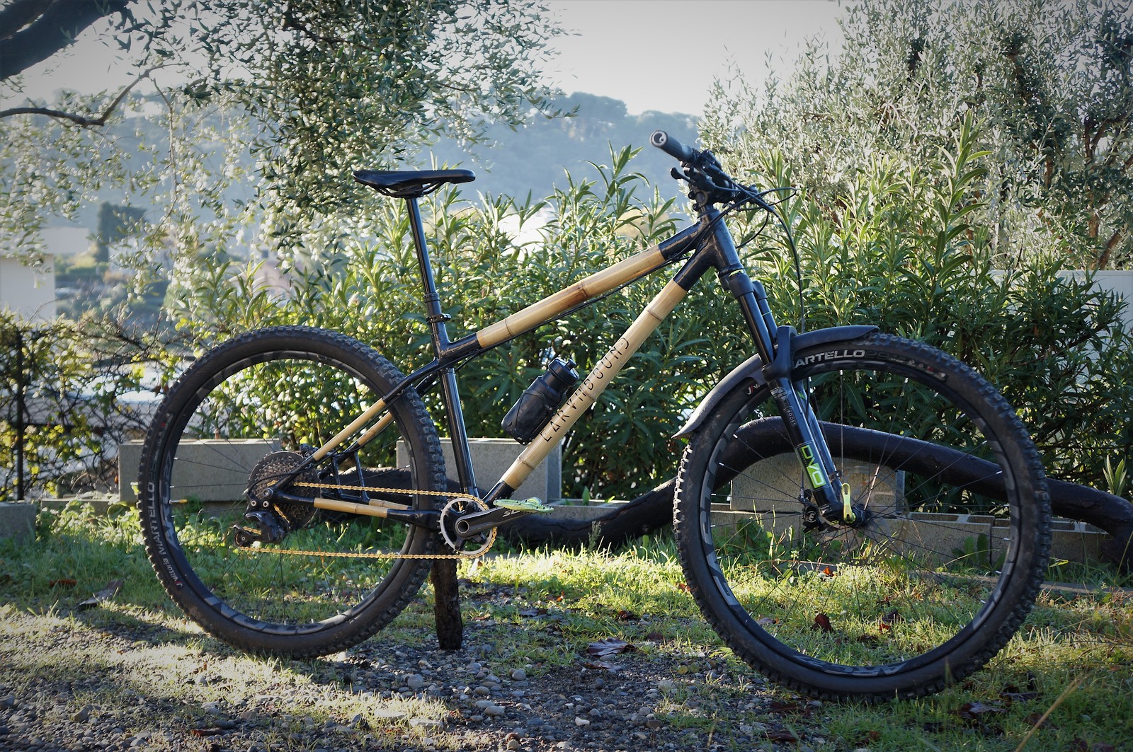 Earthbound Scarab - Vital Bike of the Day December 2020 - Mountain ...