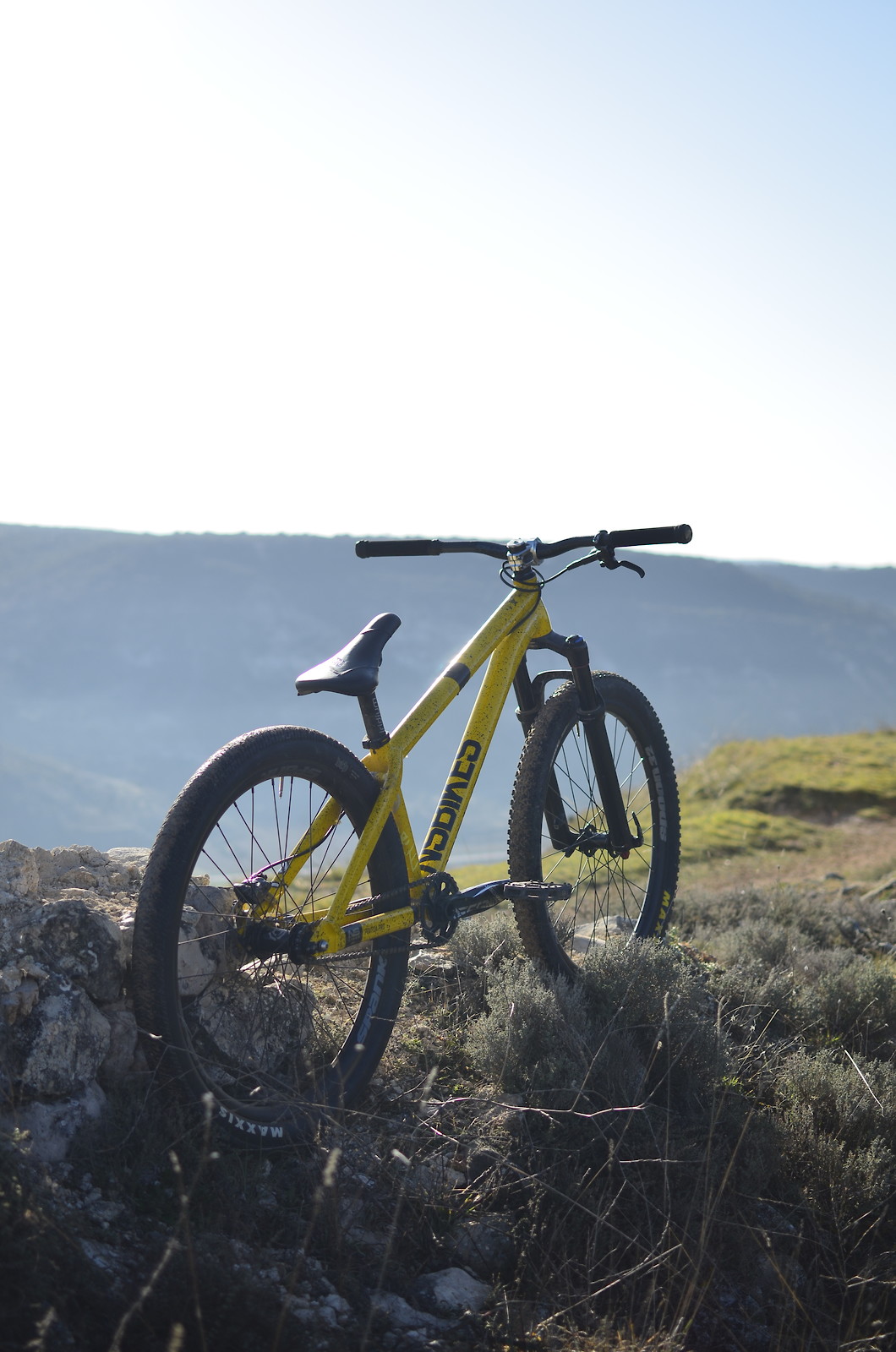 NS Decade - Vital Bike of the Day March 2022 - Mountain Biking Pictures ...