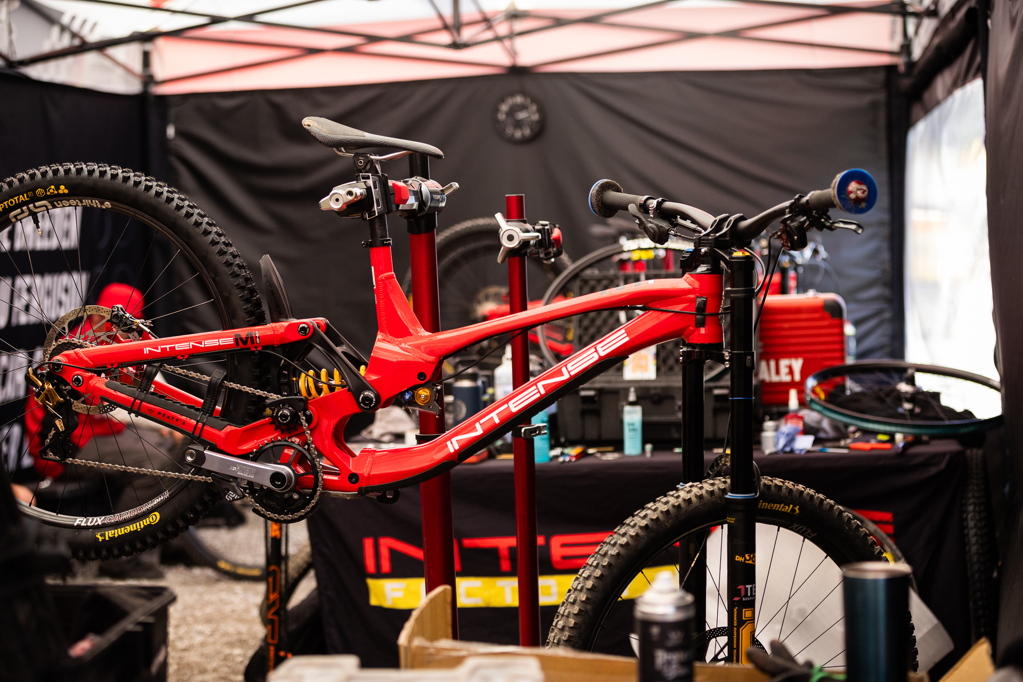 Intense - PIT BITS - Fort William World Cup Downhill - Mountain Biking Pictures - Vital MTB