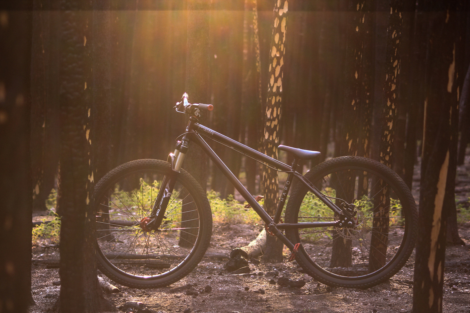 2014 Haro Steel Reserve 1.3 - iceman2058 - Mountain Biking Pictures ...