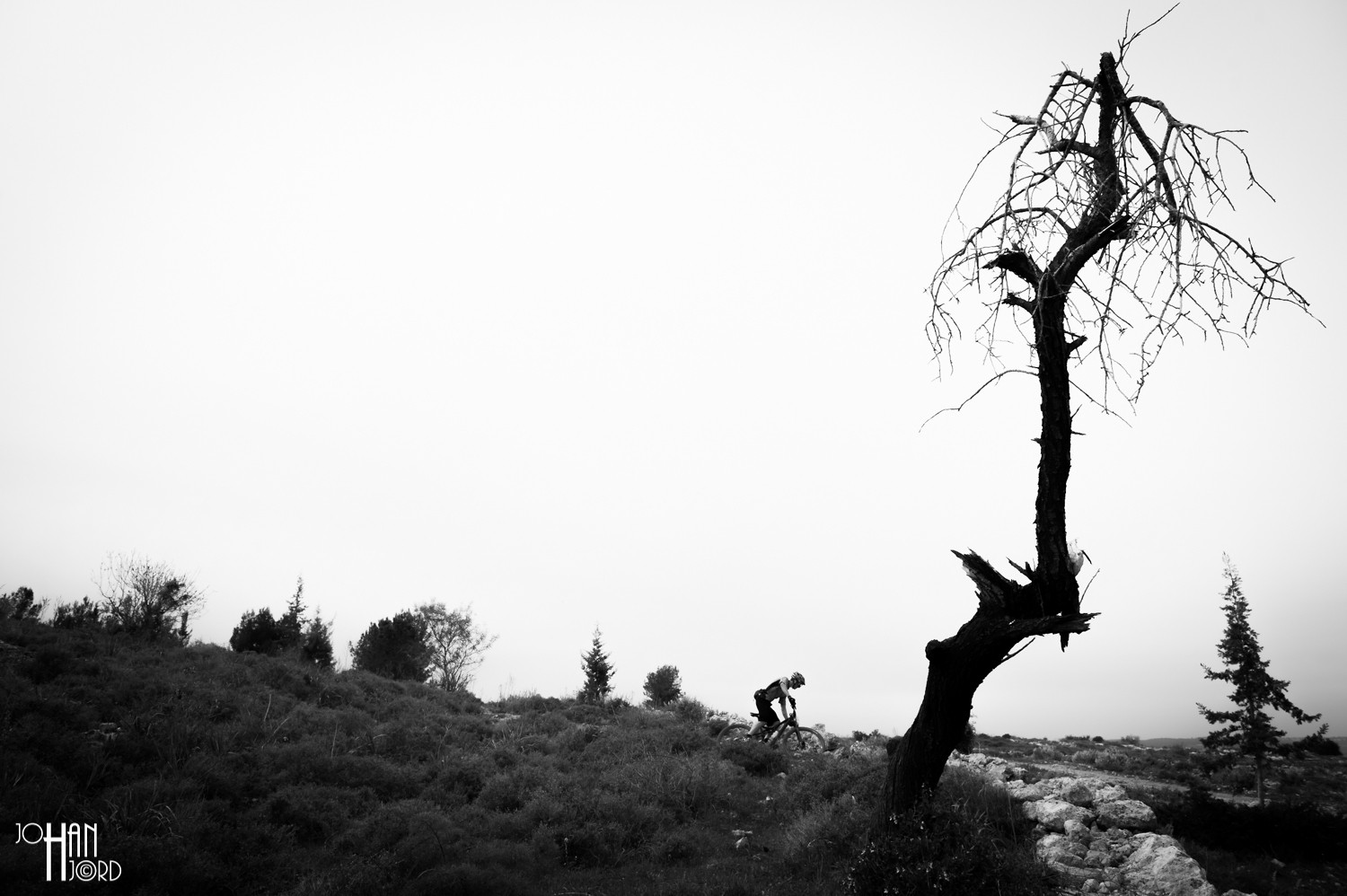 Yonatan Yatom - iceman2058 - Mountain Biking Pictures - Vital MTB